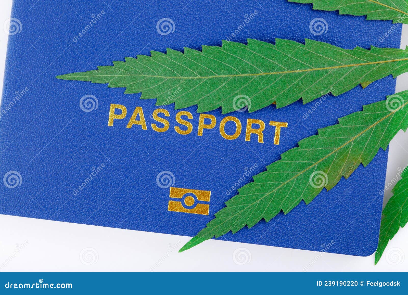 Cannabis Oder Marihuana-Blatt Auf Der Verpackung Eines Biometrischen ... Cannabis Oder Marihuana-Blatt Auf Der Verpackung Eines Biometrischen ...