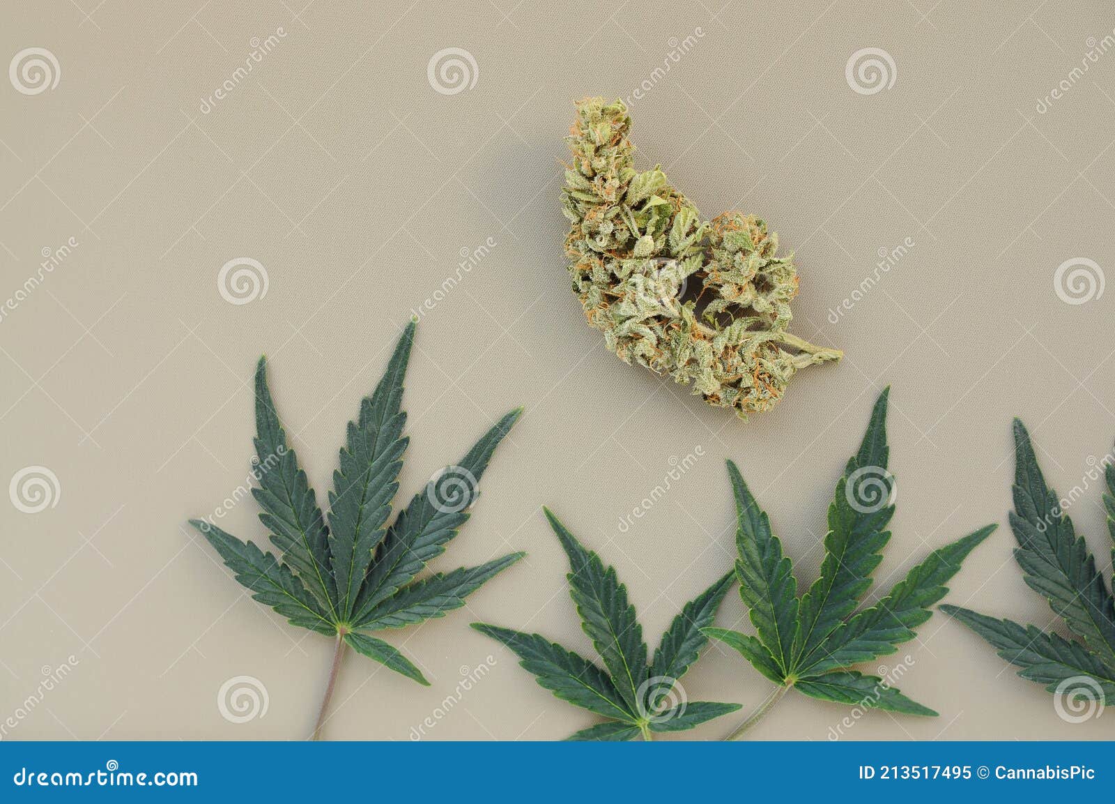 Cannabis Pattern on Grey Background. Marijuana Buds and Fresh Leaves ...
