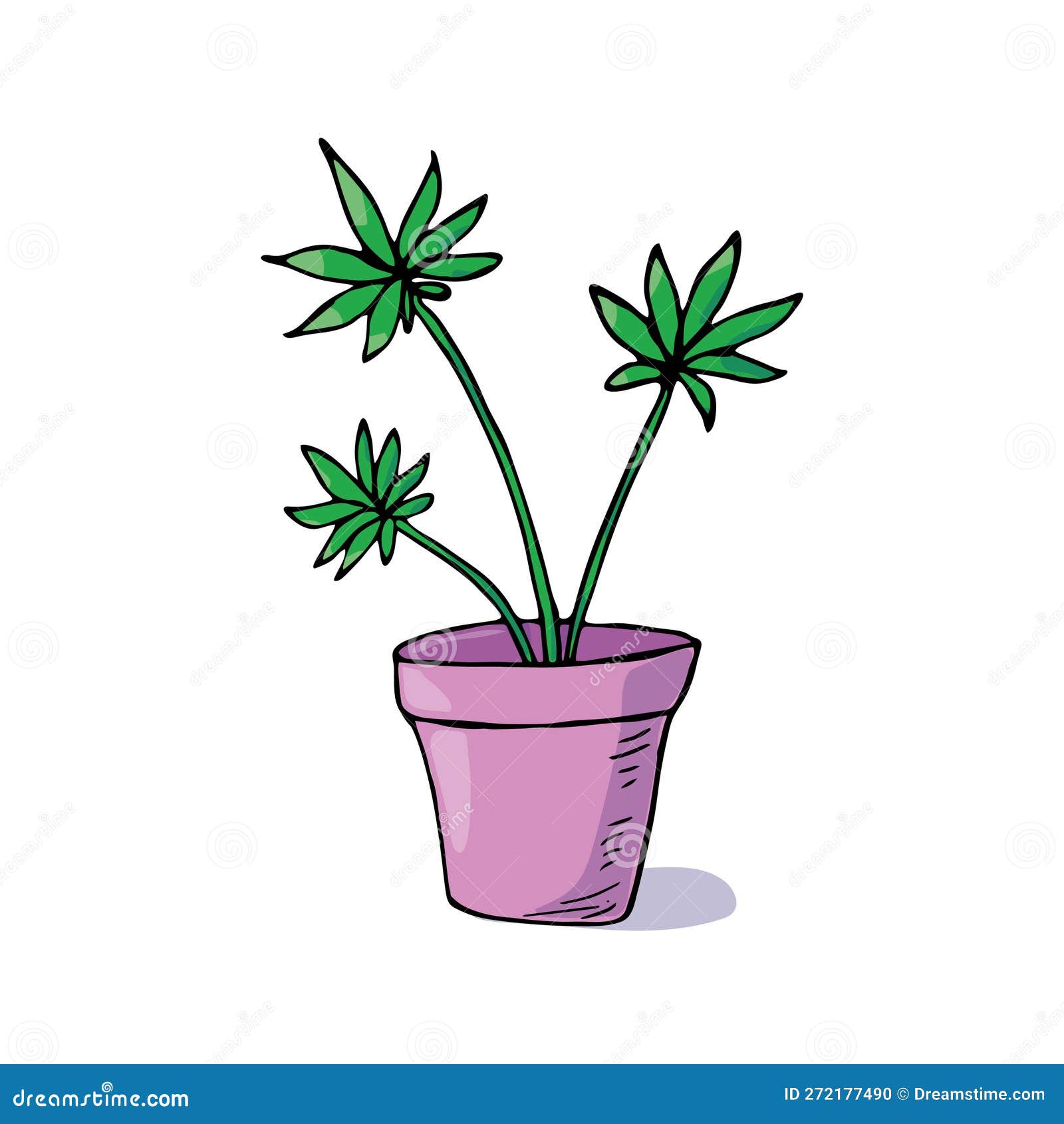 Cannabis plant in a pot stock vector. Illustration of white - 272177490