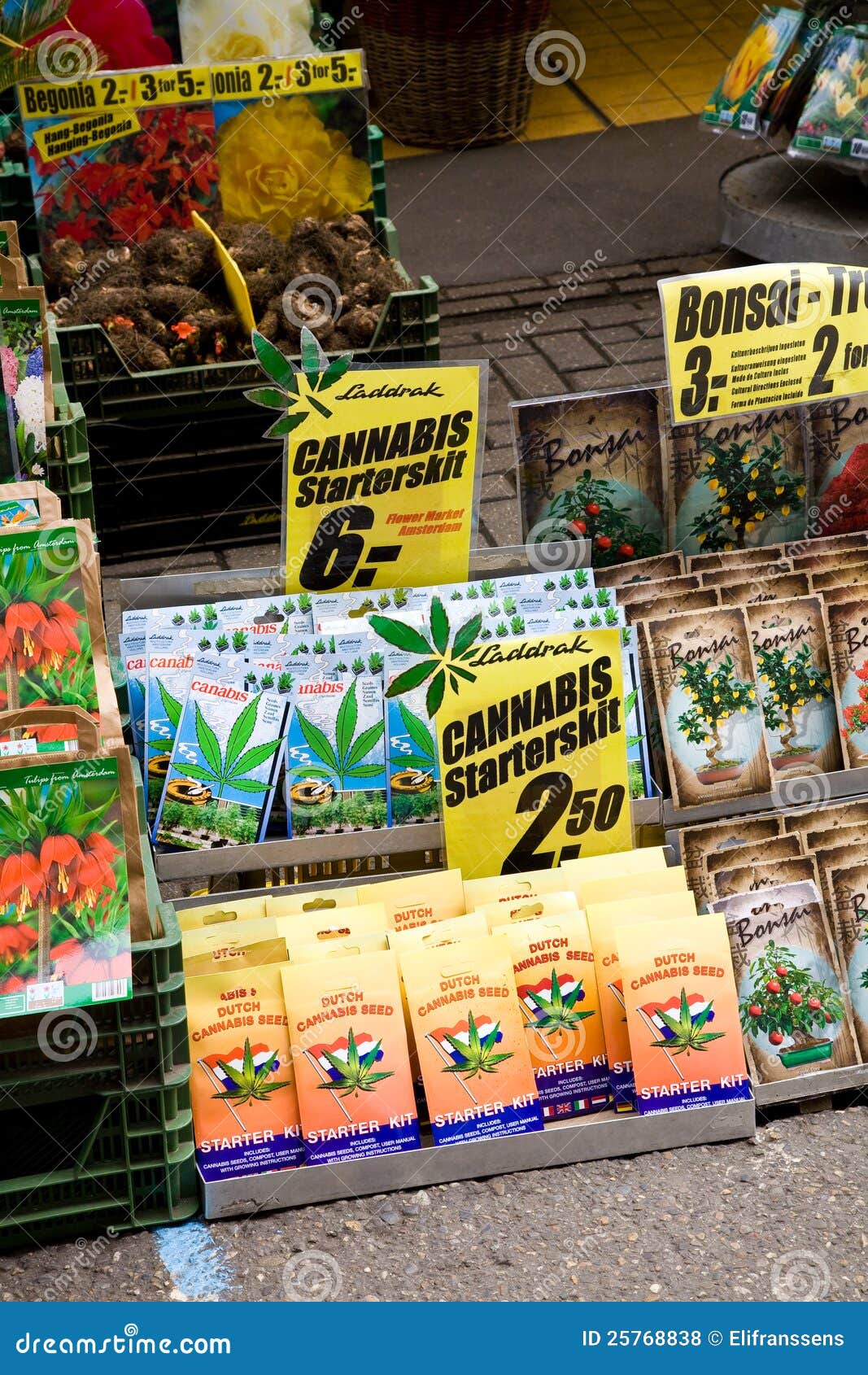 Cannabis seeds, Amsterdam editorial stock photo. Image of hashish ...