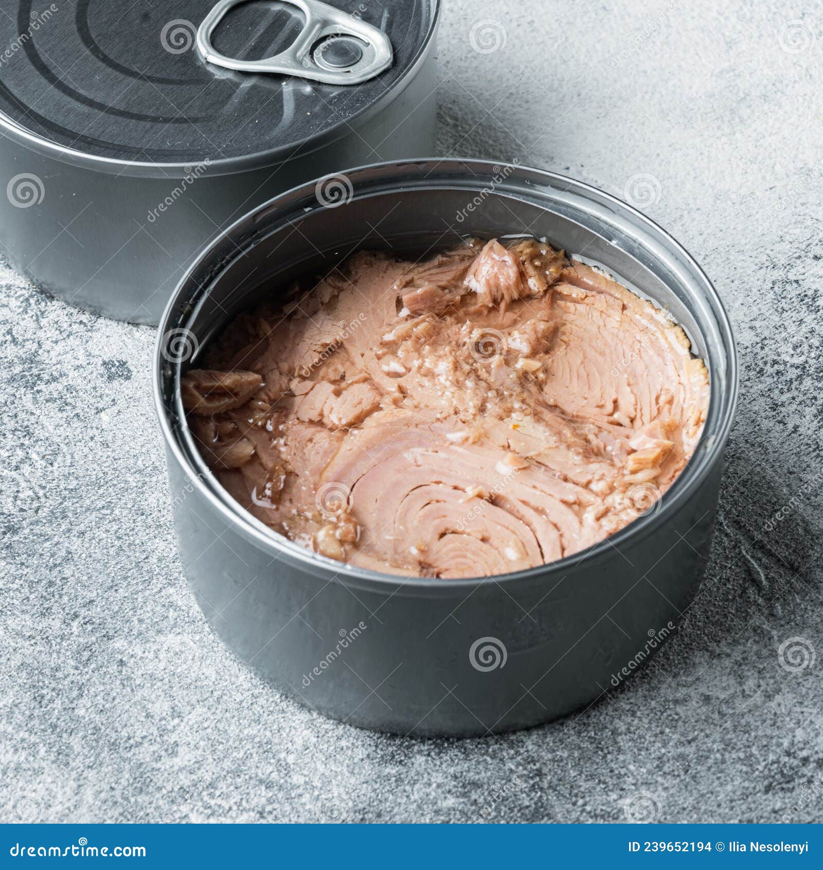Canned Albacore Wild Tuna, in Tin Can, on Gray Background, Square ...