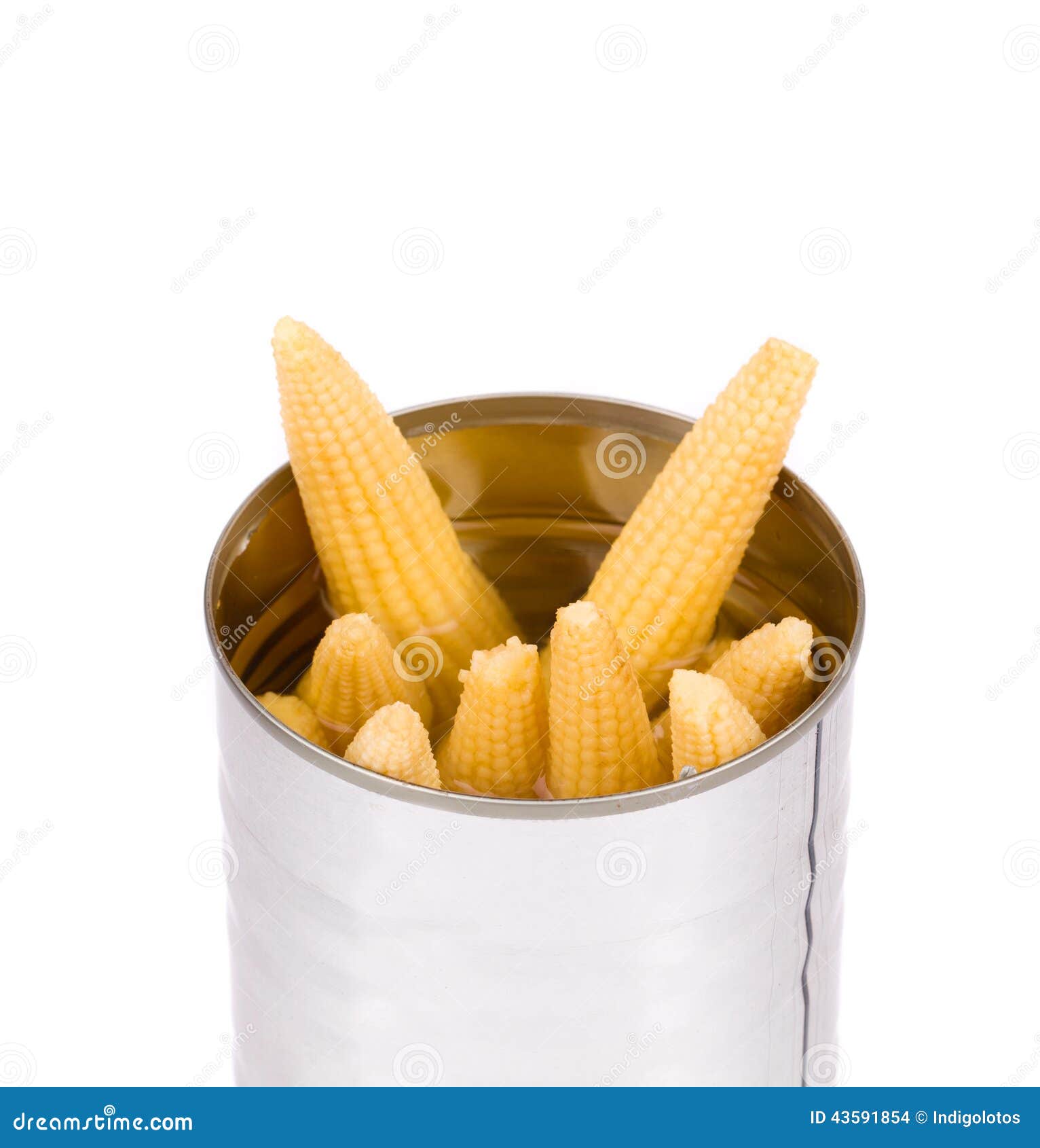 Canned baby corn. stock photo. Image of background, corn - 43591854