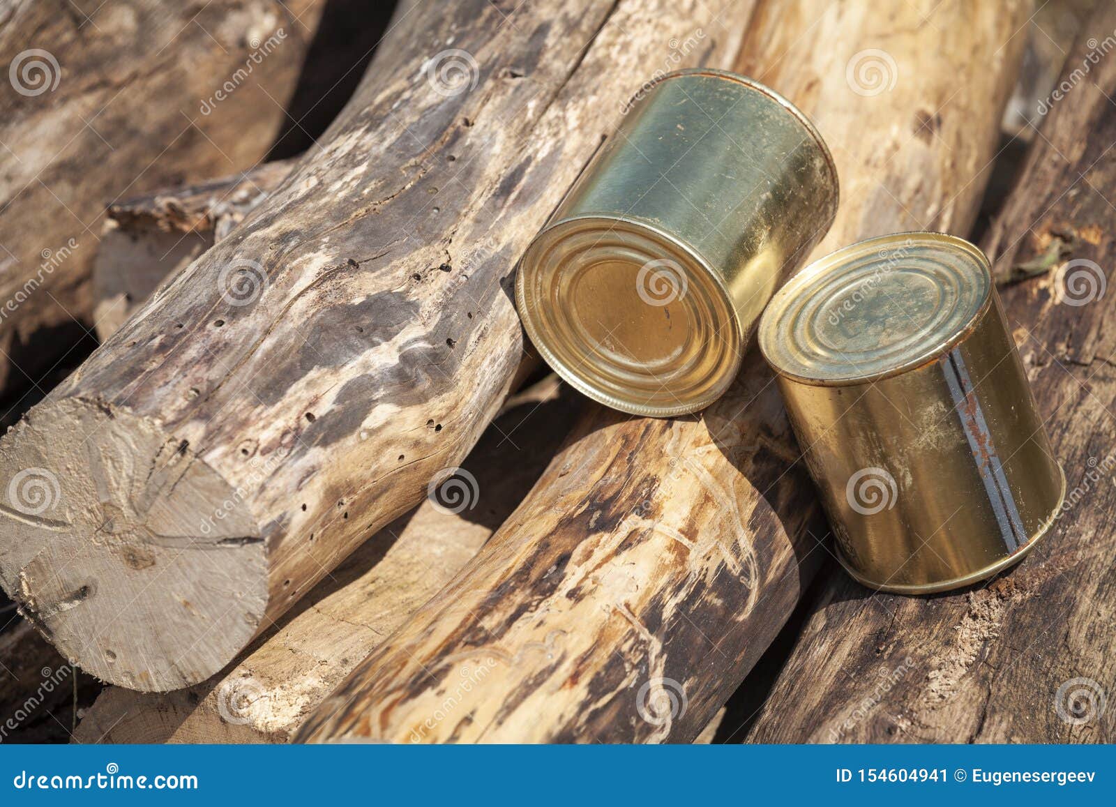 Canned Beef Lay on Logs, Close Up Photo Stock Image - Image of stew ...