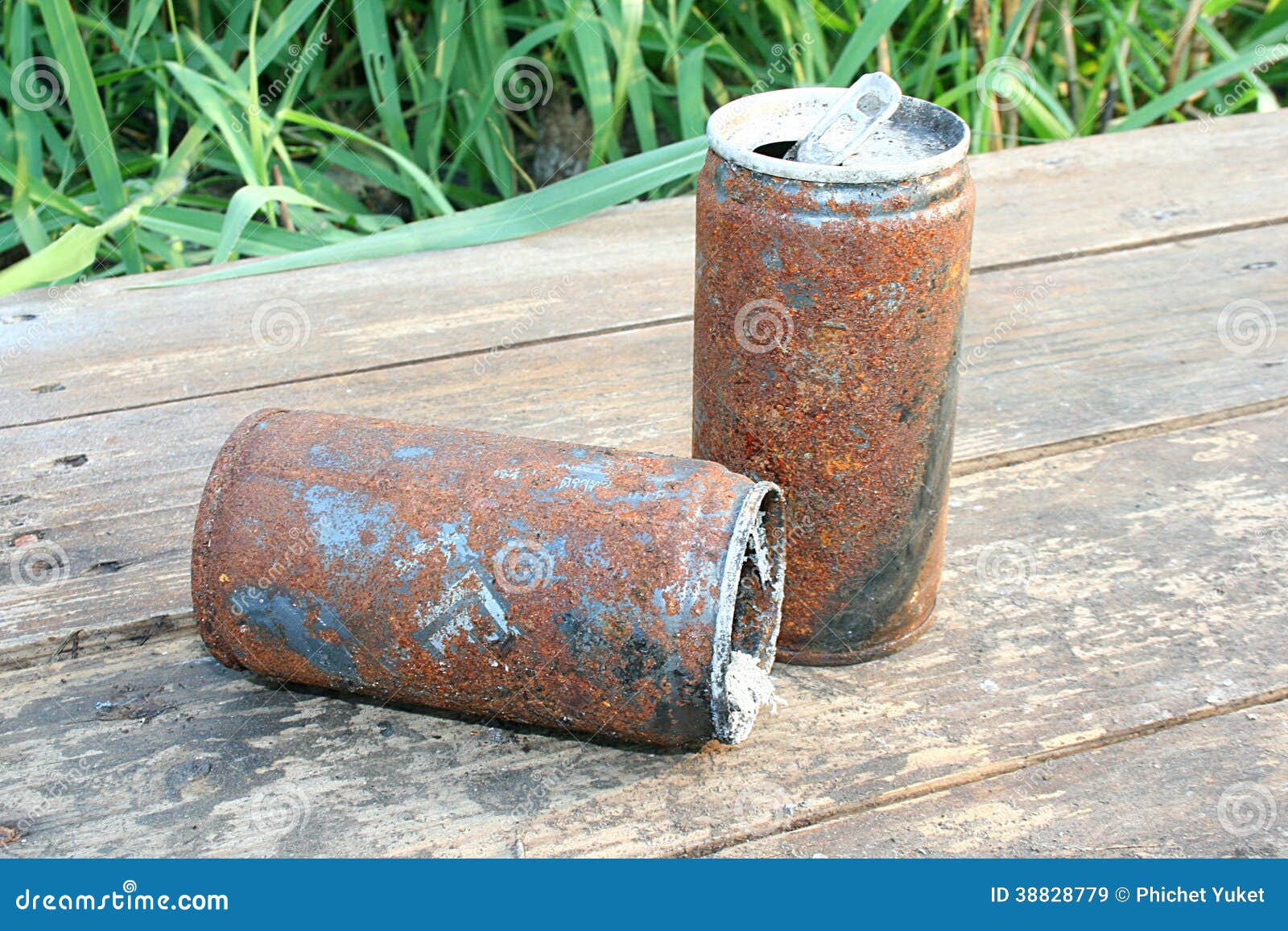 Canned stock image. Image of cans, looking, nice, canned - 38828779