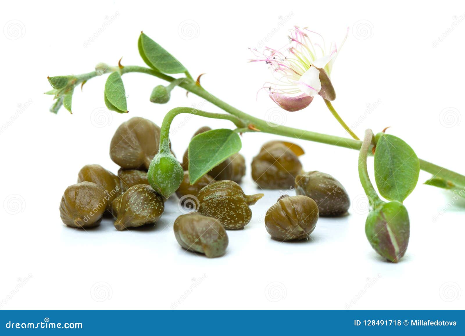 Canned Capers with Green Leaves and Flower Stock Photo - Image of ...