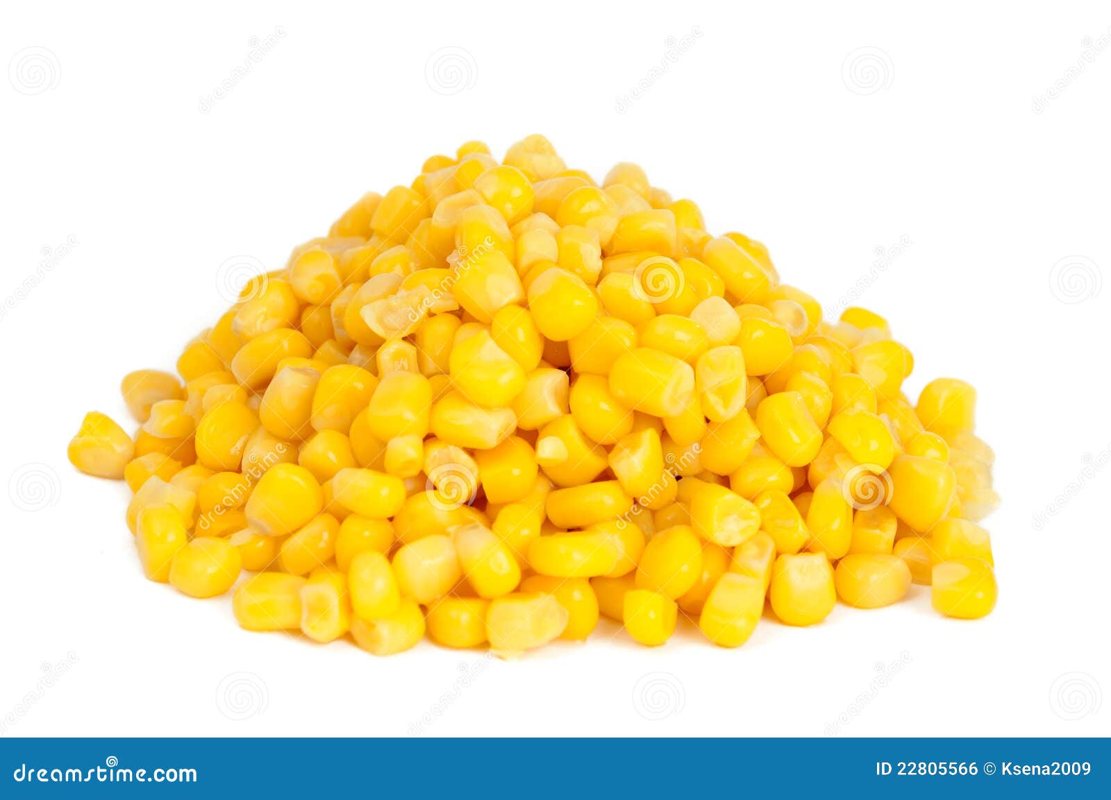 Canned Corn Royalty Free Stock Image - Image: 22805566