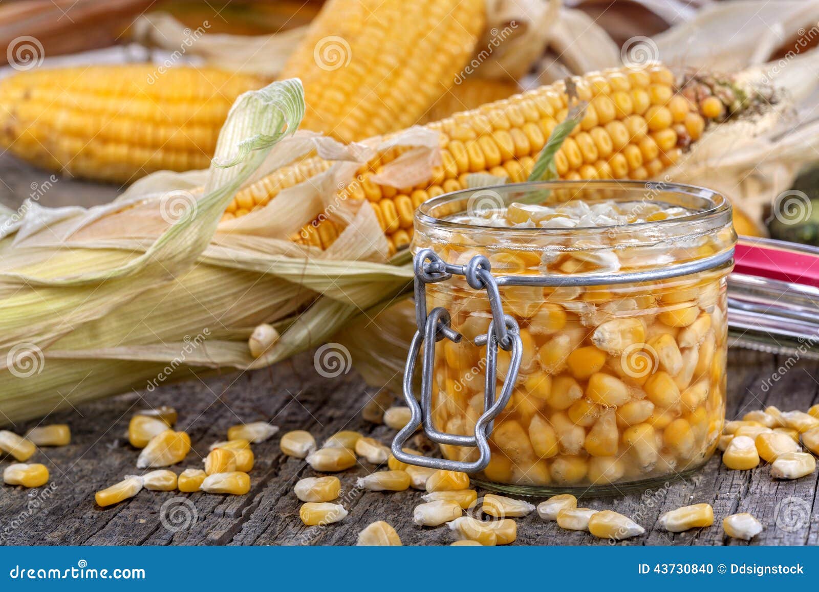 Canned corn stock photo. Image of corn, organic, marinated - 43730840