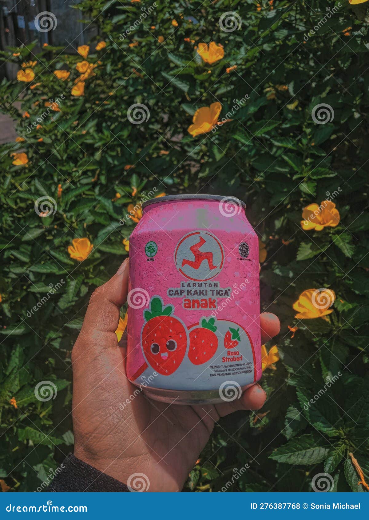 Canned drinks for children editorial stock photo. Image of soda - 276387768