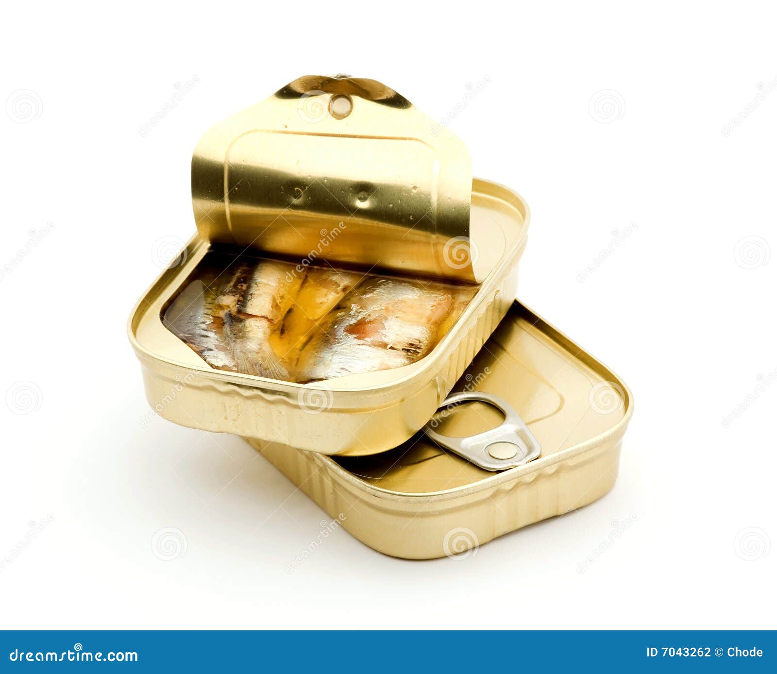 Canned fish stock photo. Image of conserved, meat, shiny - 7043262