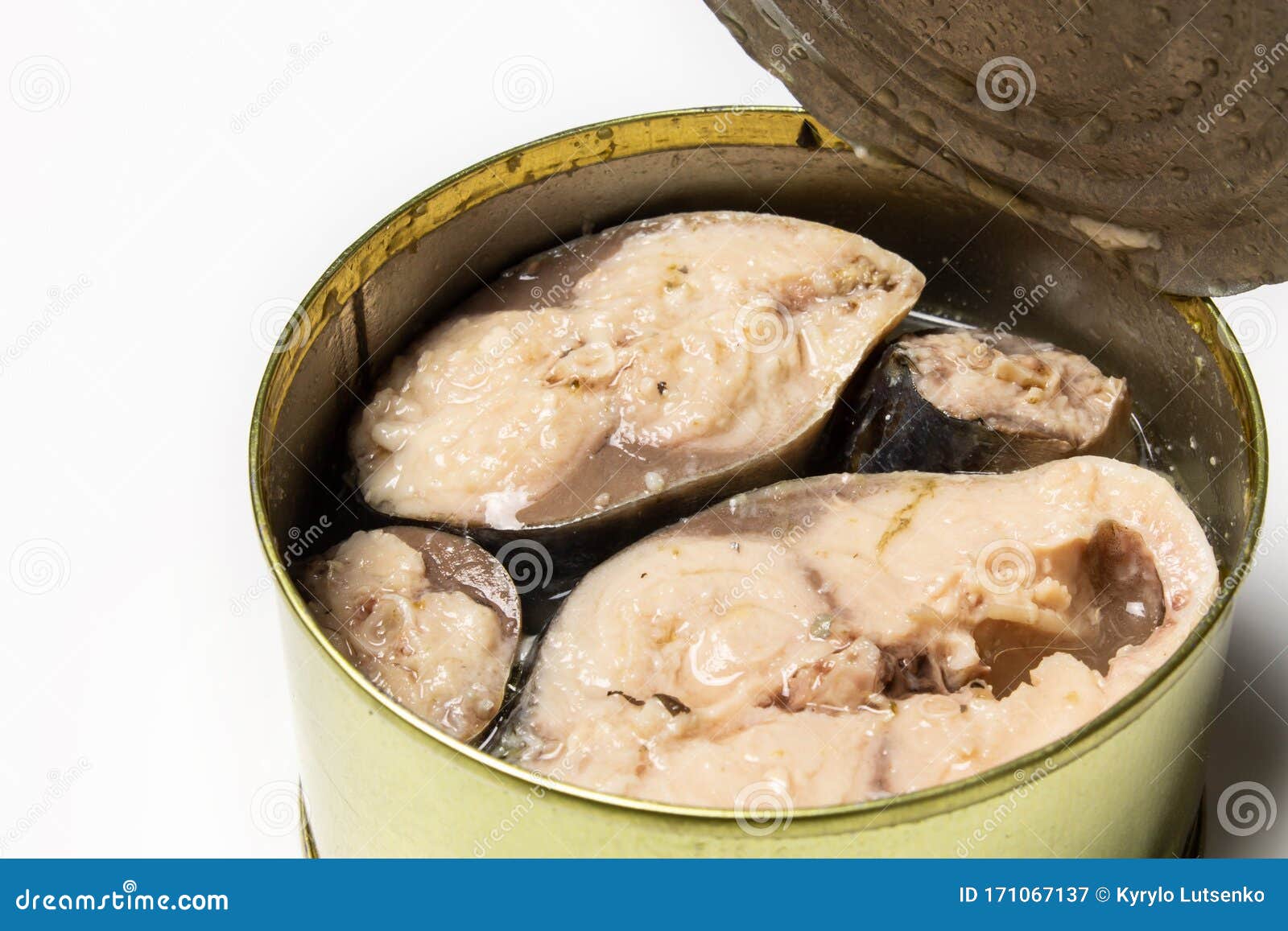 Canned fish in an iron can stock image. Image of container - 171067137