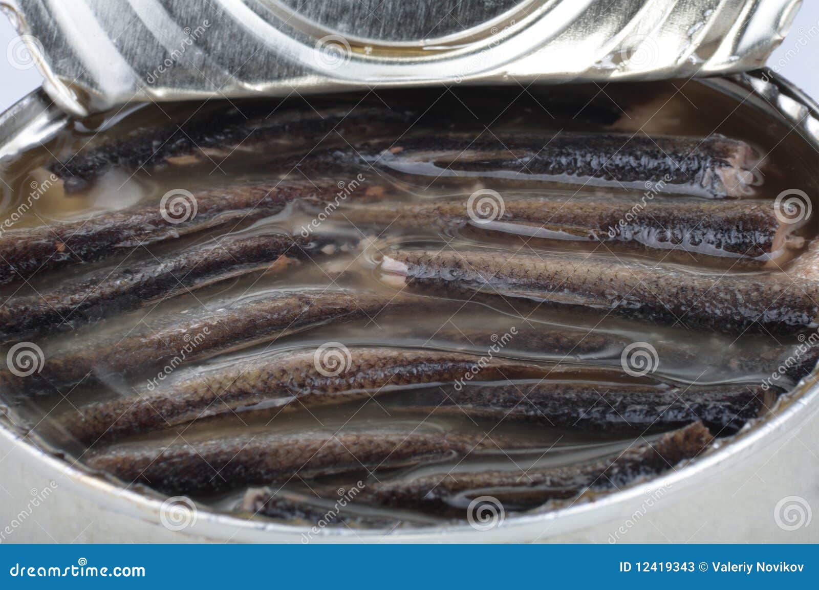 Canned fish in tin stock image. Image of grey, gourmet - 12419343