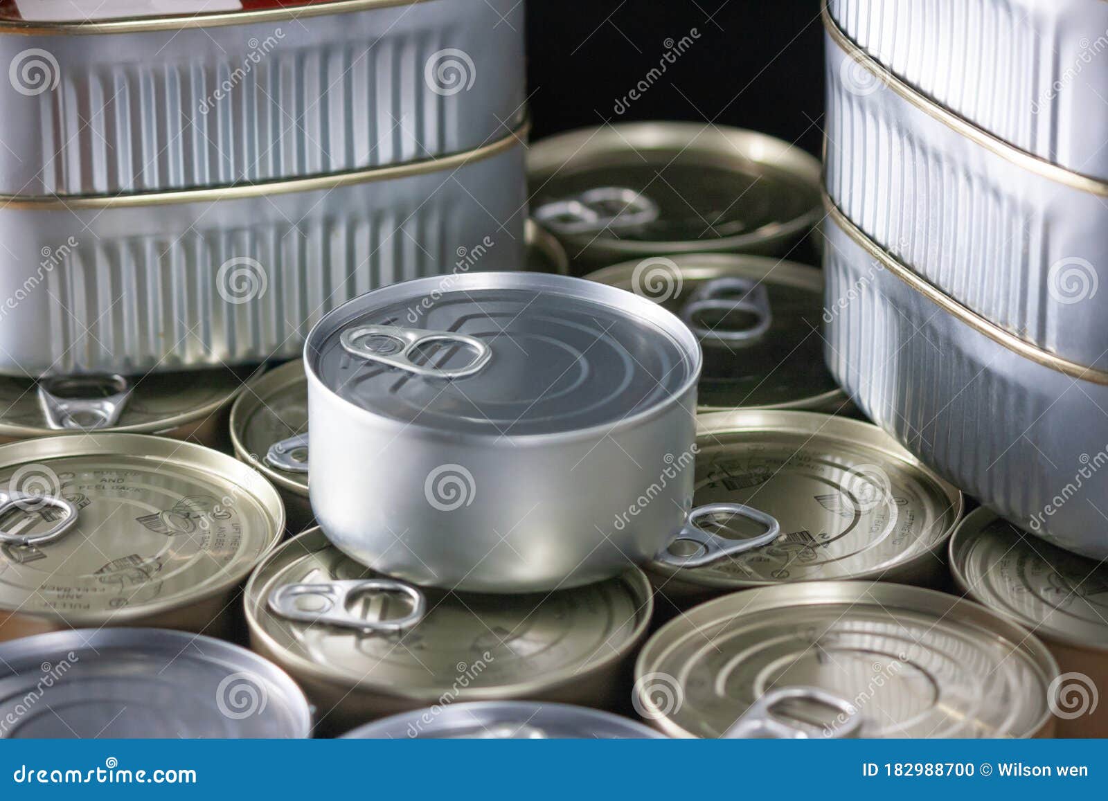 Many Canned Tuna Products with a Silver Tuna Can on Top and Sardine ...