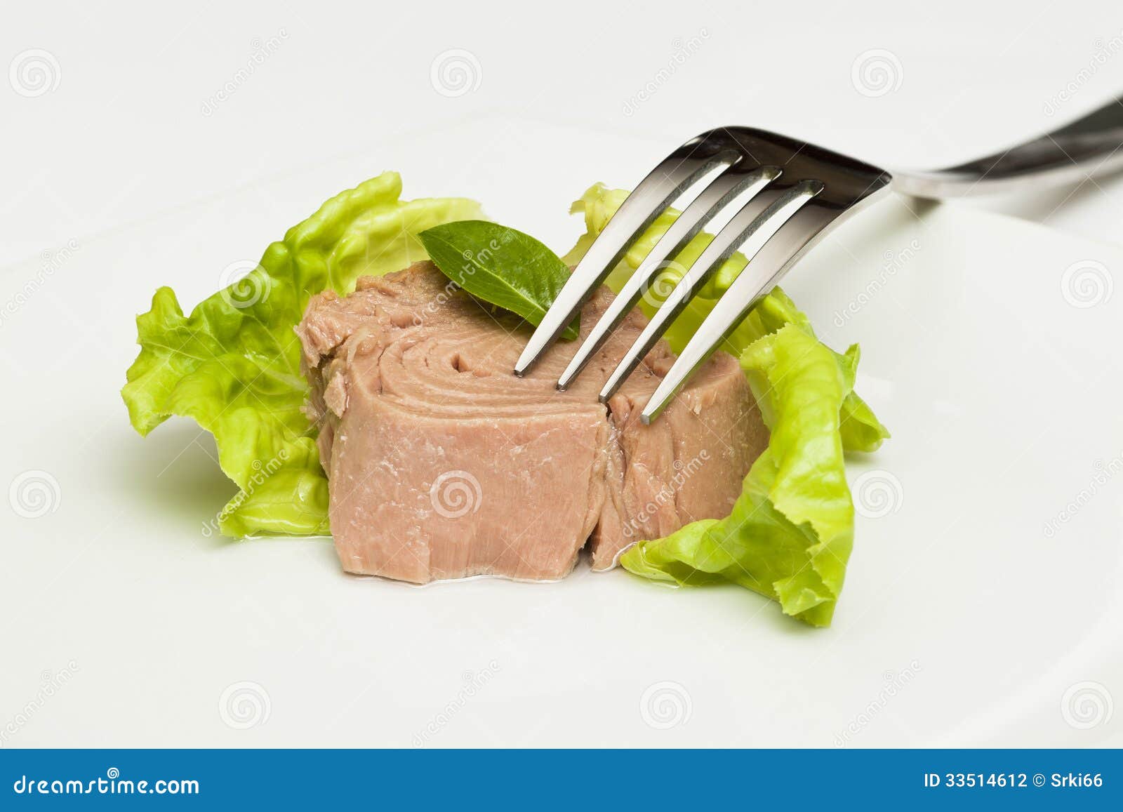 Canned tuna chunks stock photo. Image of canned, food - 33514612