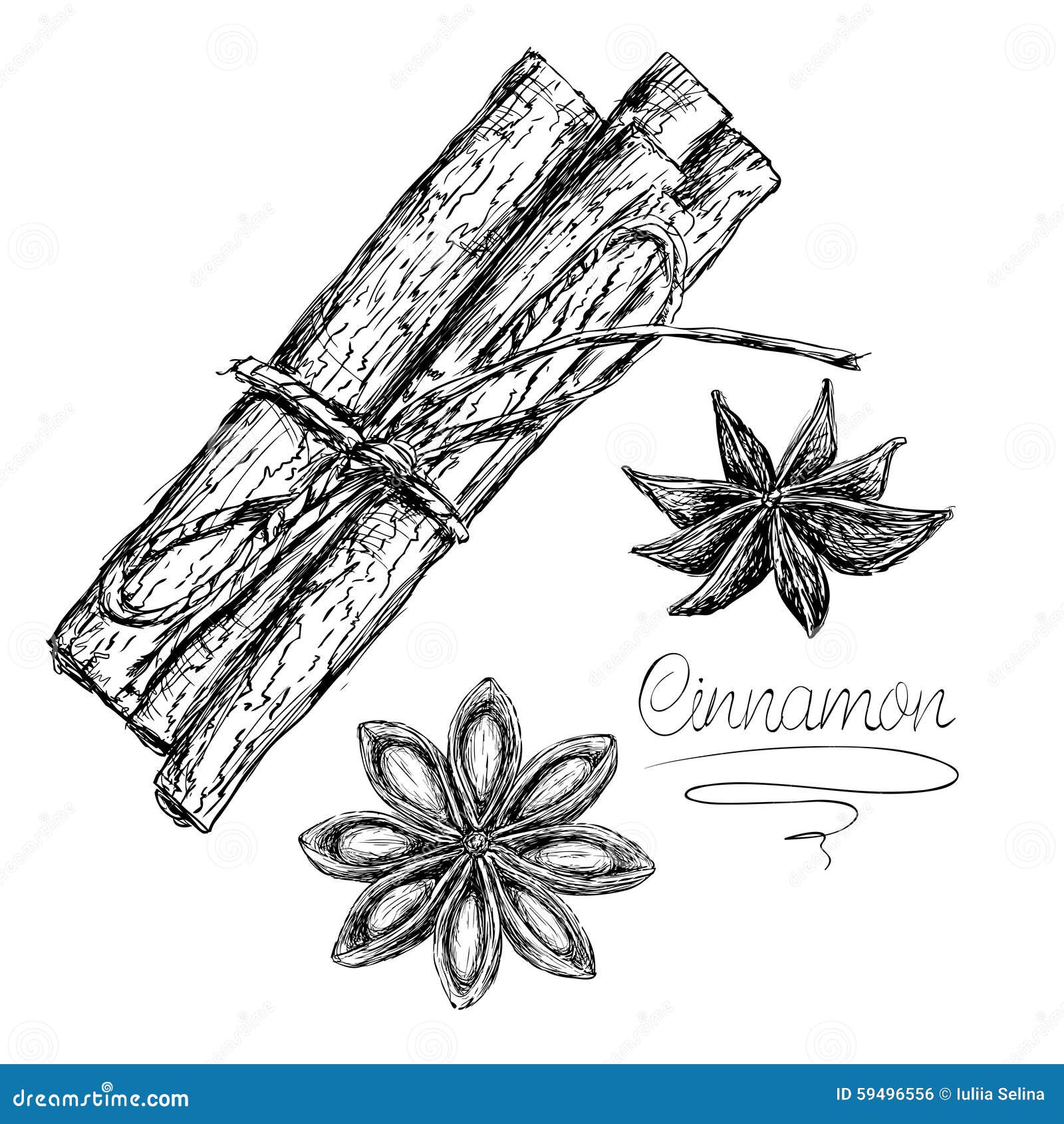 Cannelle de croquis illustration de vecteur. Illustration du culinaire ...