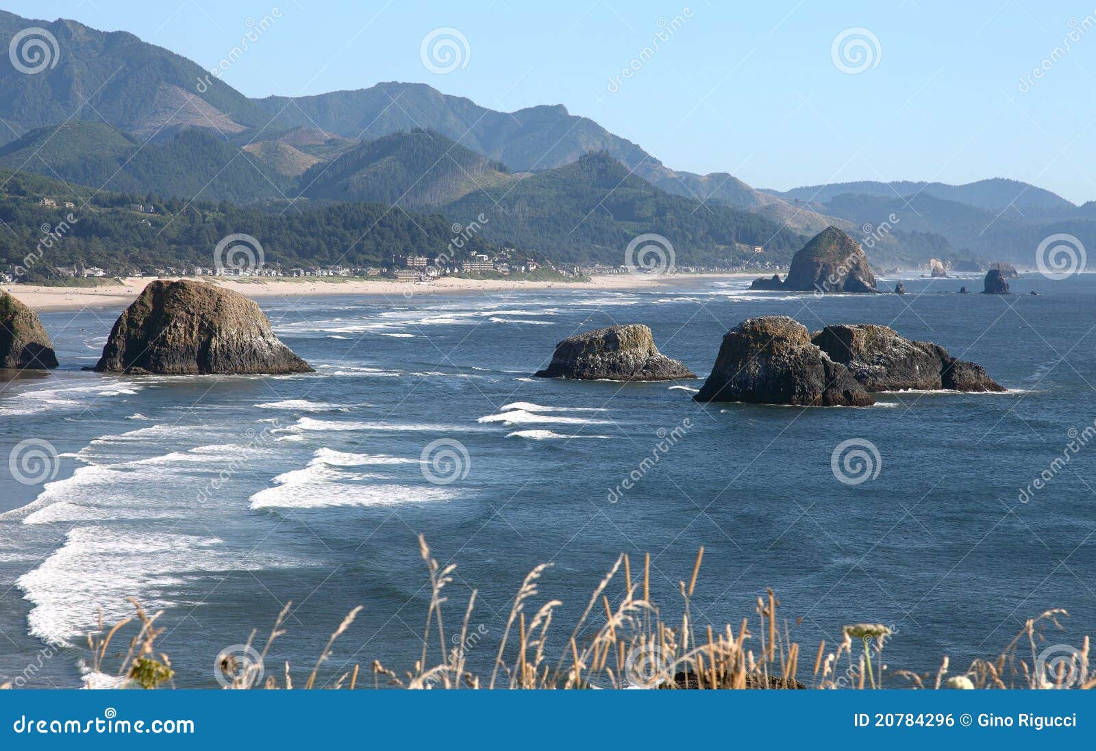 Cannon Beach, Oregon Coastline. Stock Photo - Image of coast, sand ...