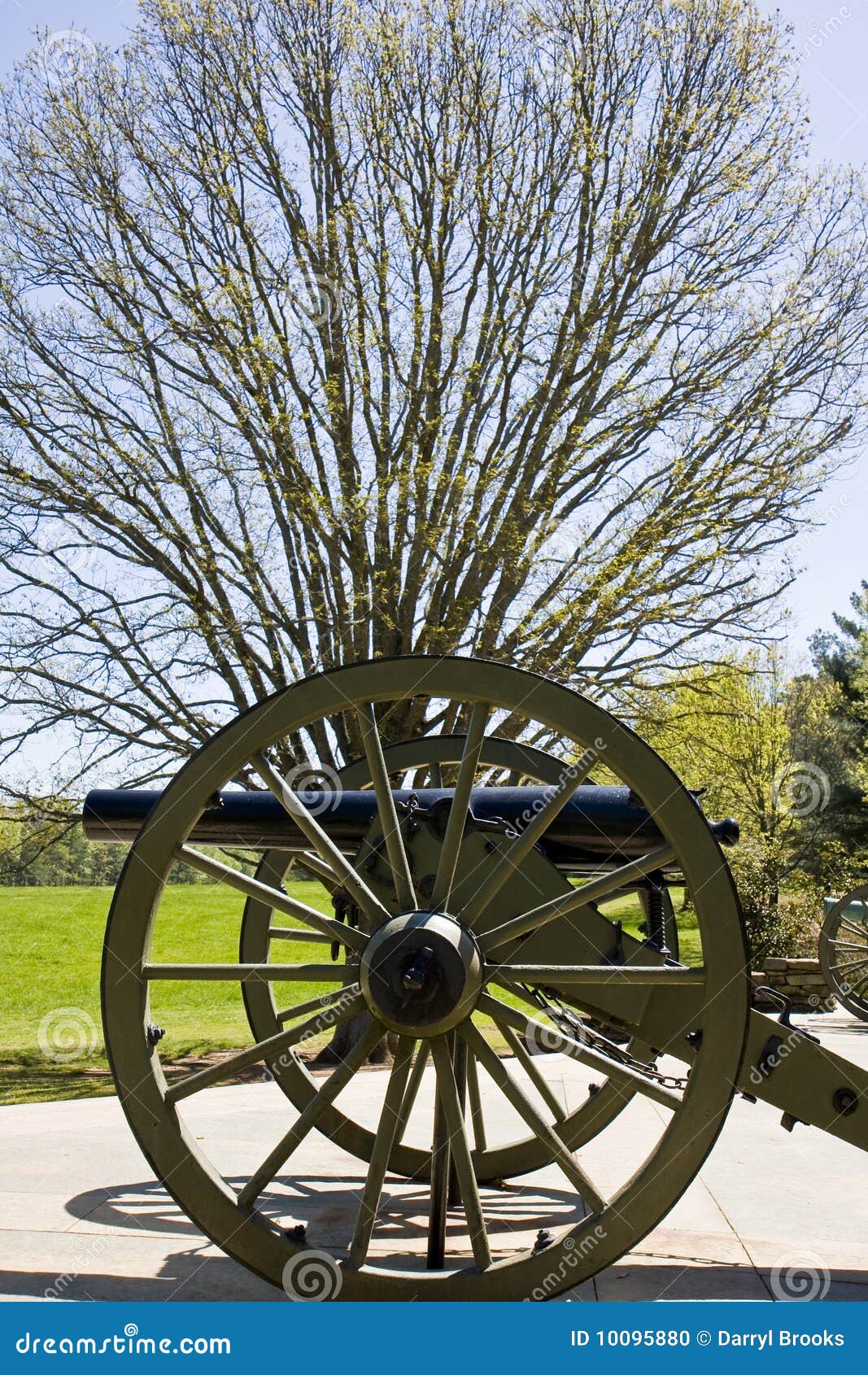 Cannon and Tree stock photo. Image of civil, artillery - 10095880