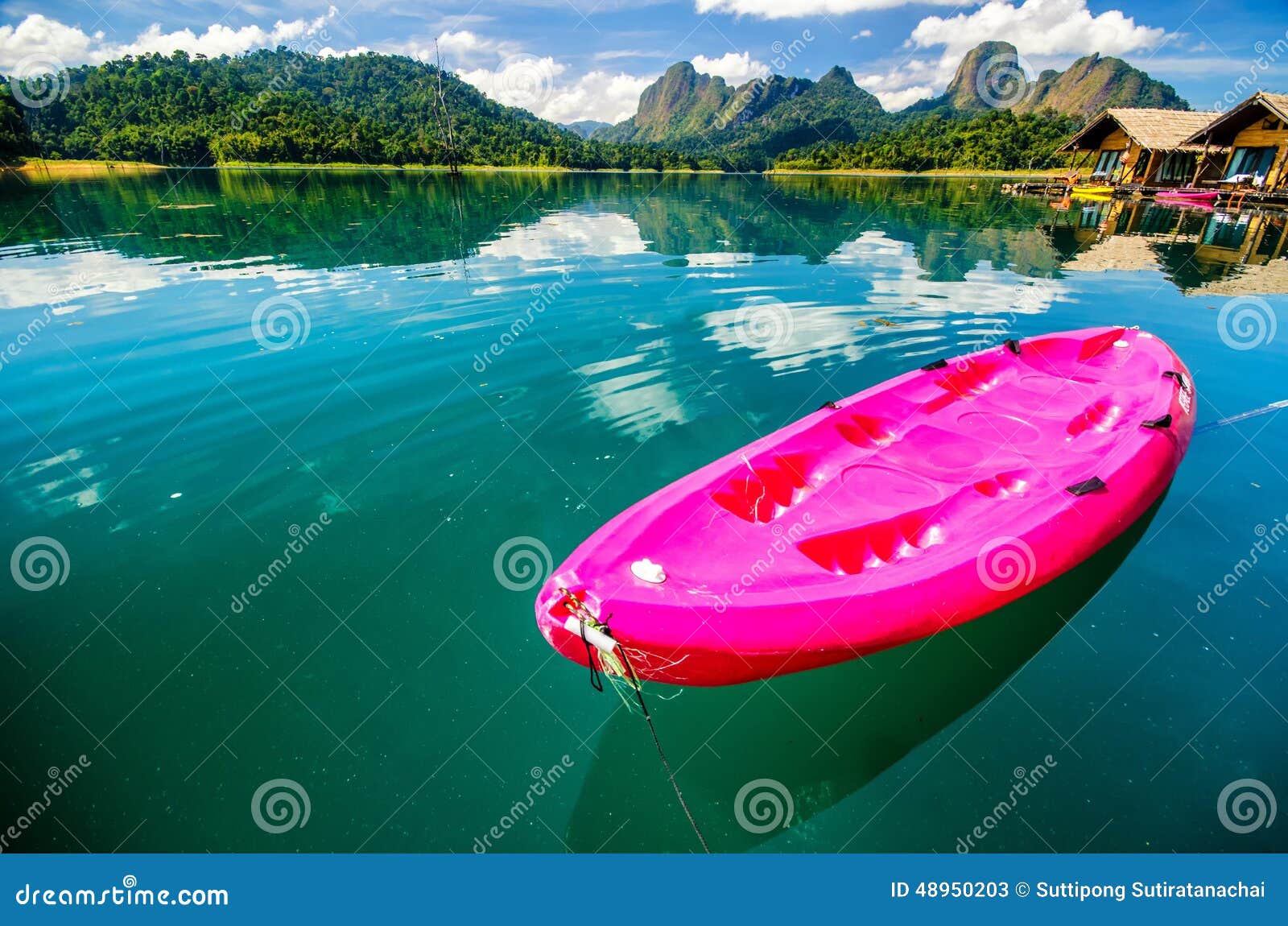 Canoë rose image stock. Image du scène, scénique, stationnement - 48950203