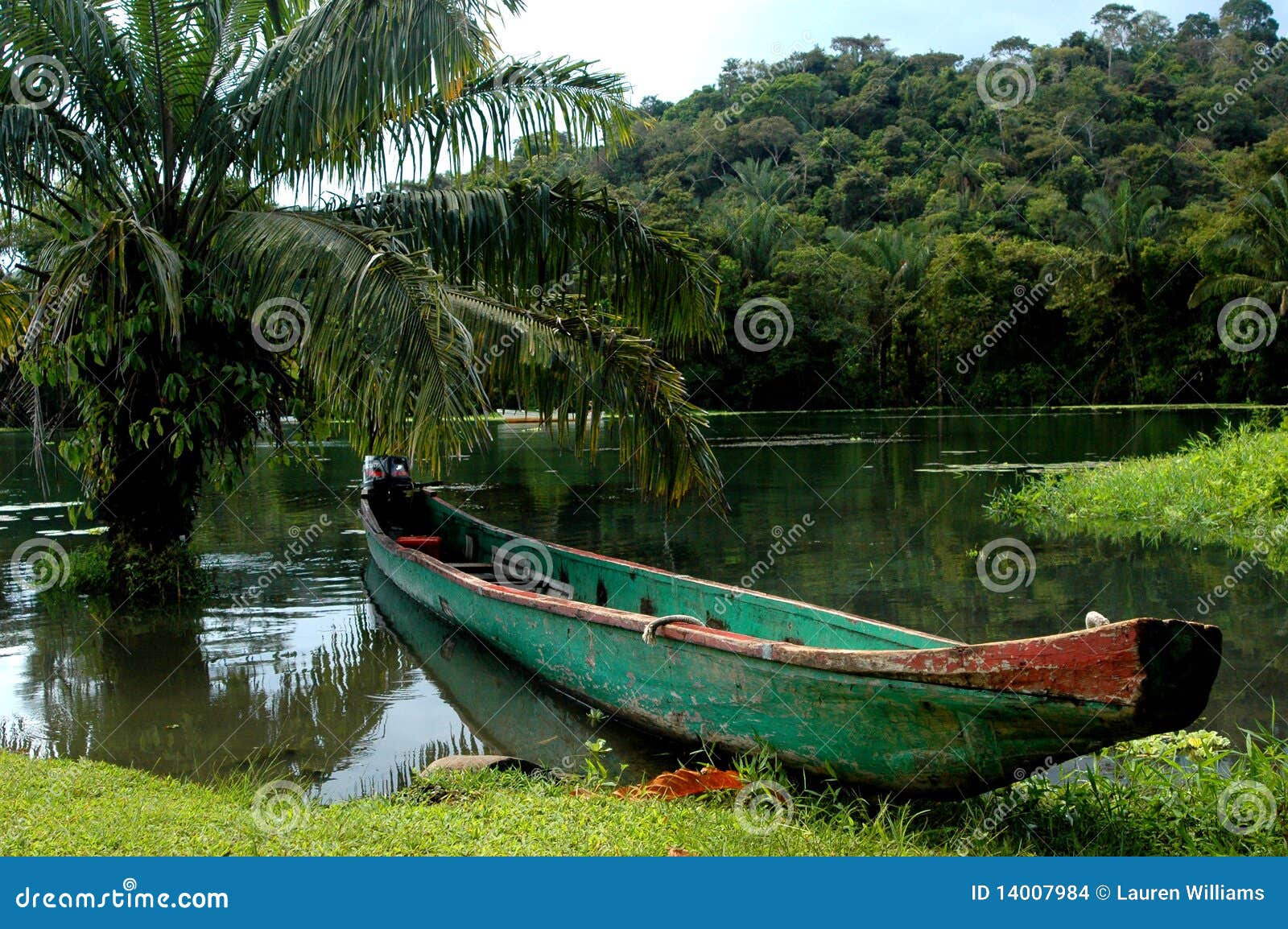Canoa de la selva tropical foto de archivo. Imagen de bosque - 14007984