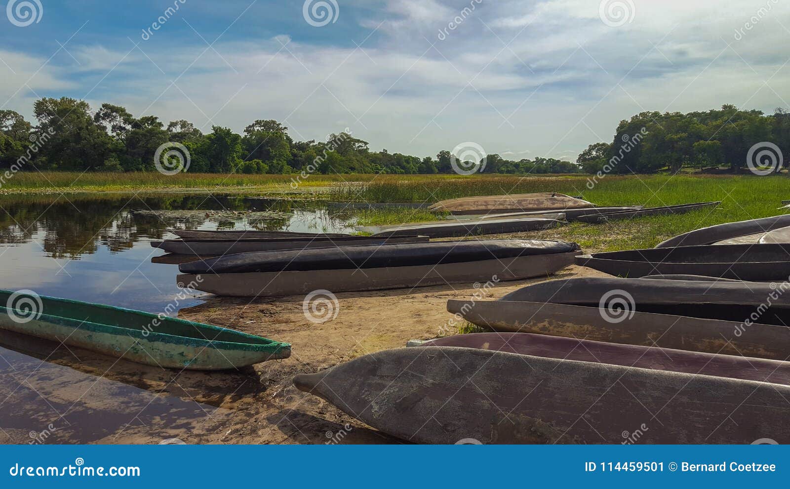 Canoe in the Delta in Botswana Stock Image - Image of environment, boat ...