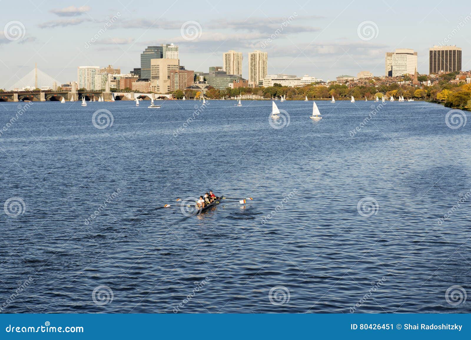 Canoe Rowing in Charles River Boston Editorial Photo - Image of ...