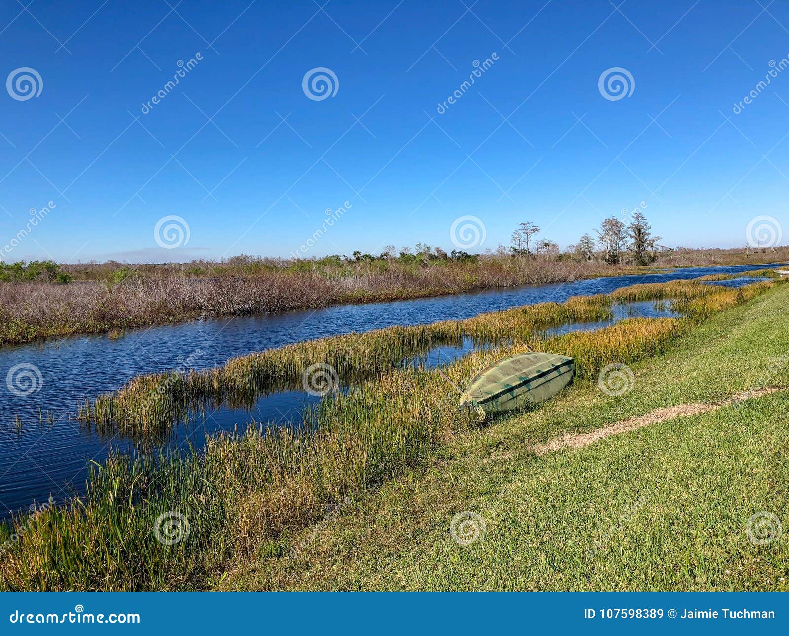 Canoe in the swamp stock image. Image of everglades - 107598389