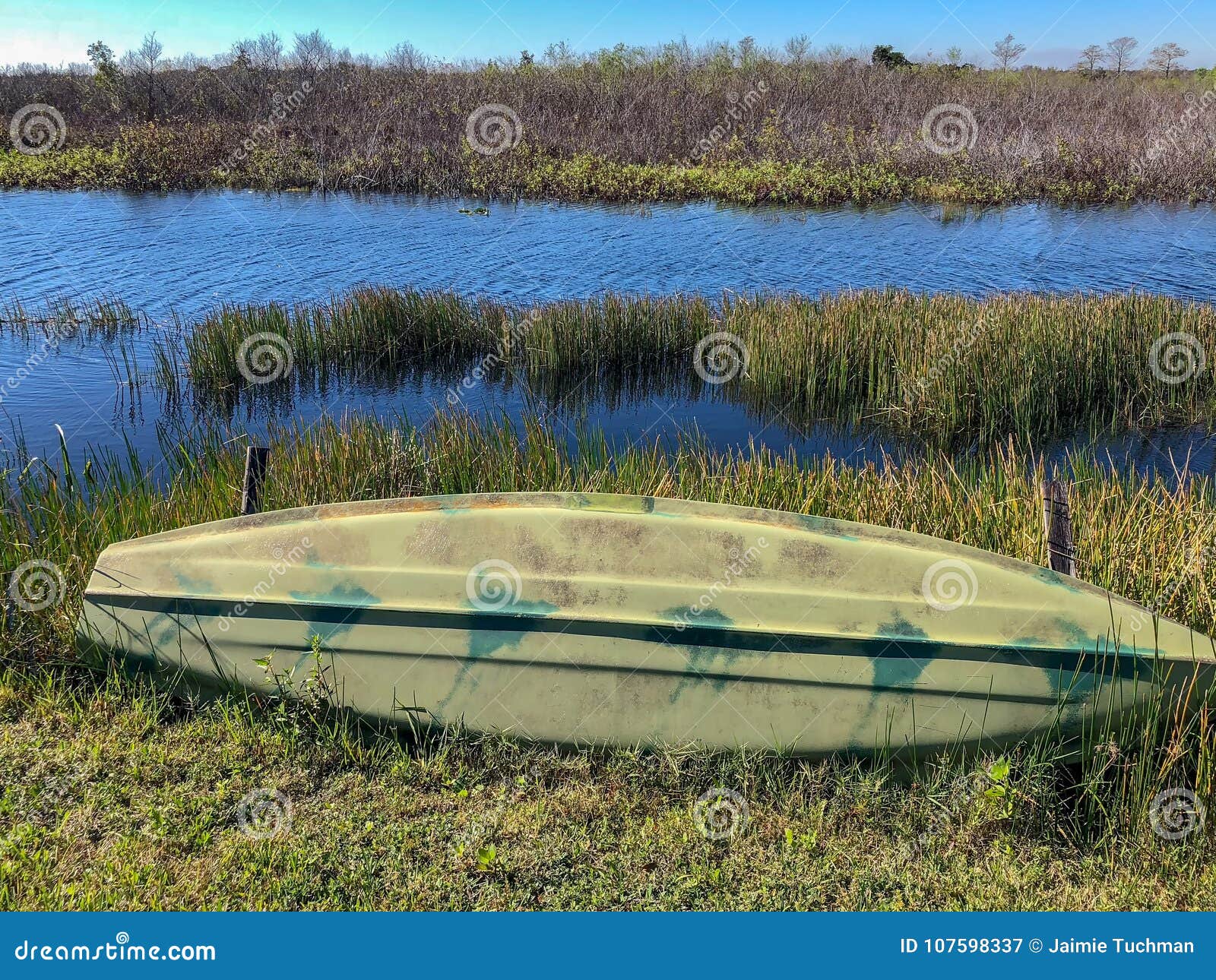 Canoe in the swamp stock image. Image of grass, florida - 107598337