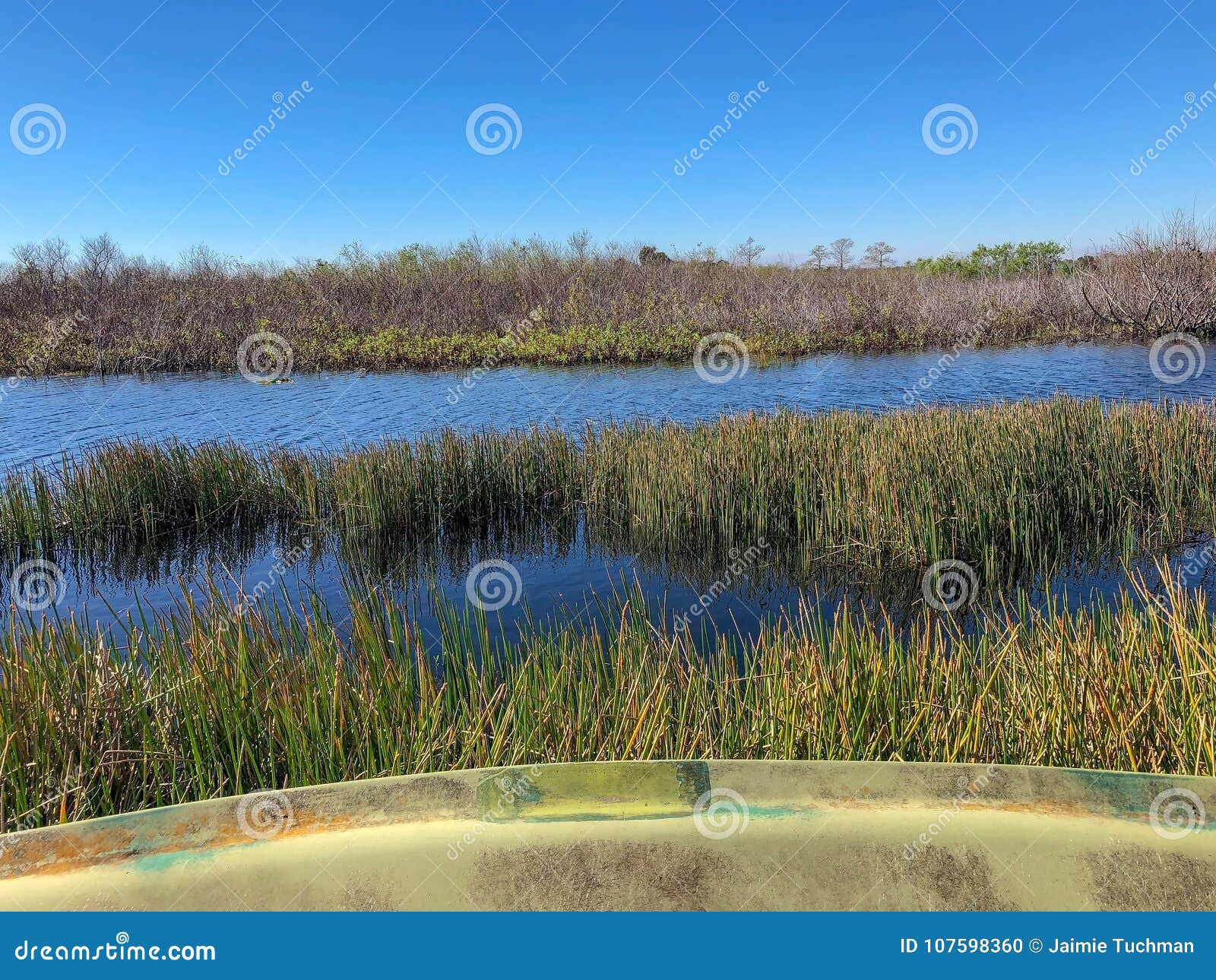 Canoe in the swamp stock photo. Image of lake, leisure - 107598360