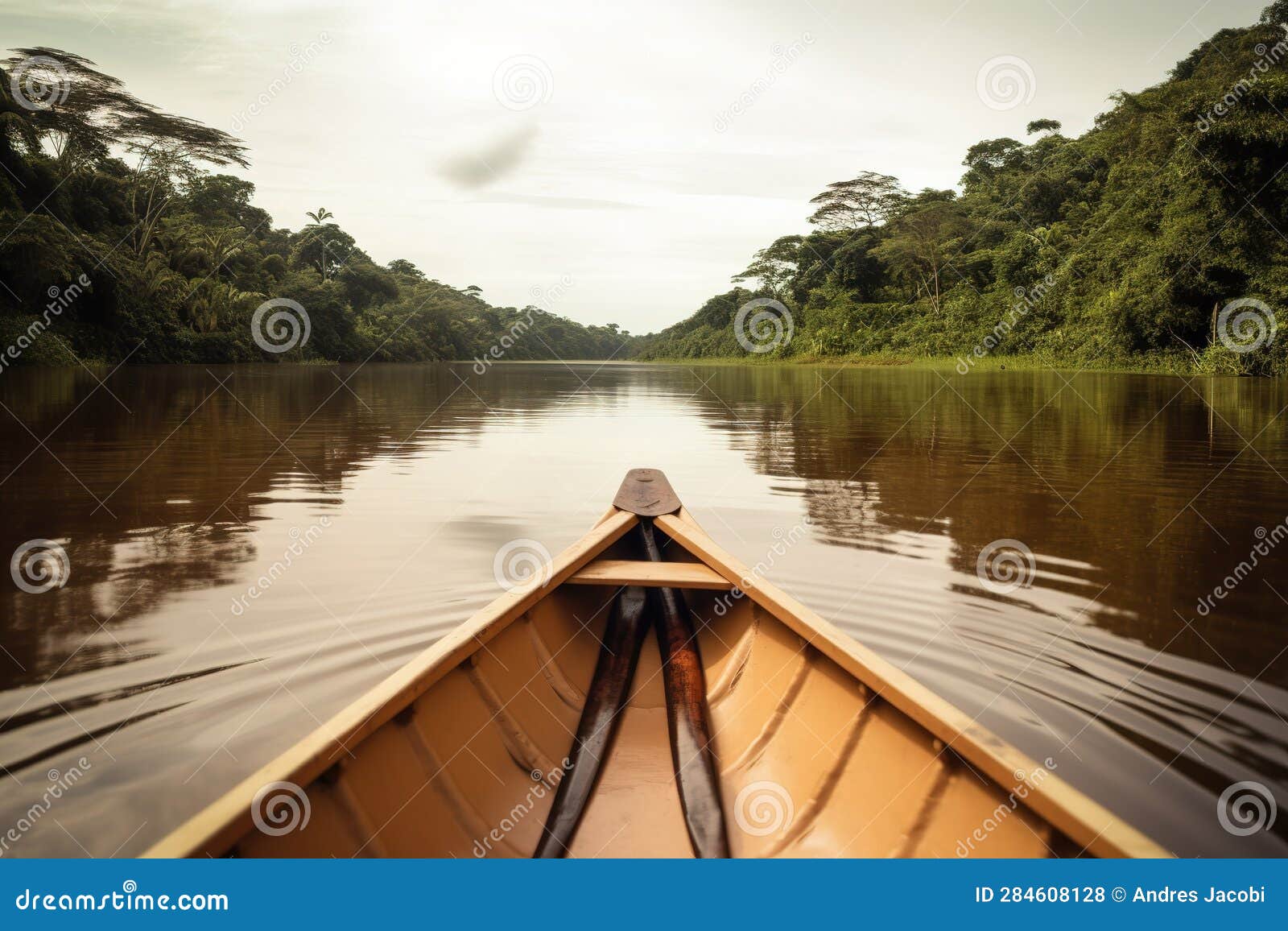 Canoe Trip in the Amazon River. Close Up Shot Stock Illustration ...
