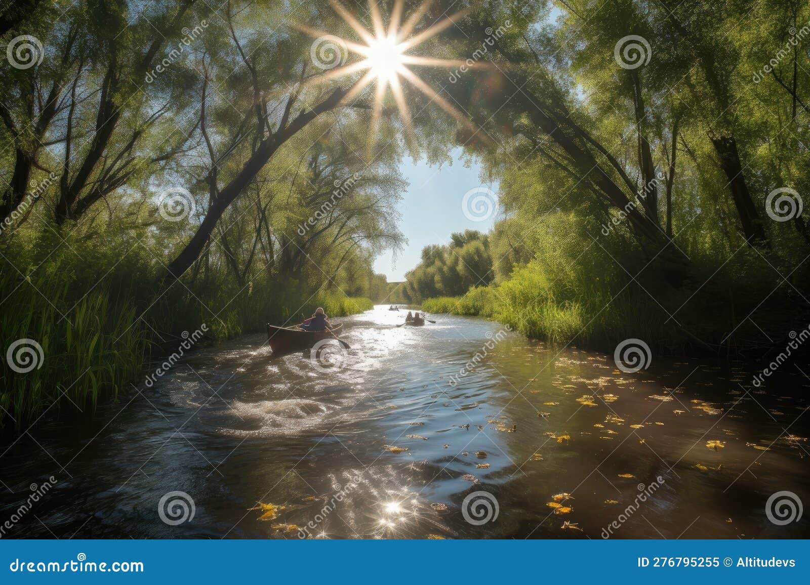 Canoeing Down a Winding River, with the Sun Shining and Birds Chirping ...