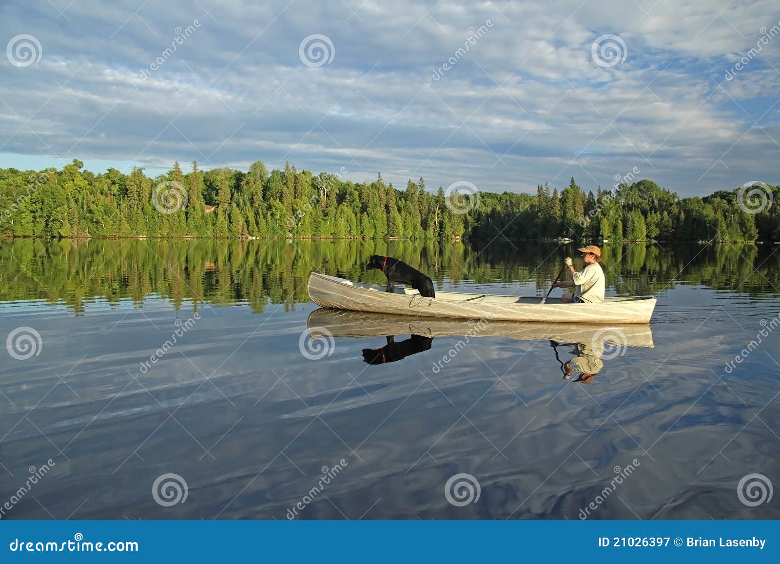 Canoeist Mit Labrador-Apportierhund Im Bogen Stockbild - Bild von ...