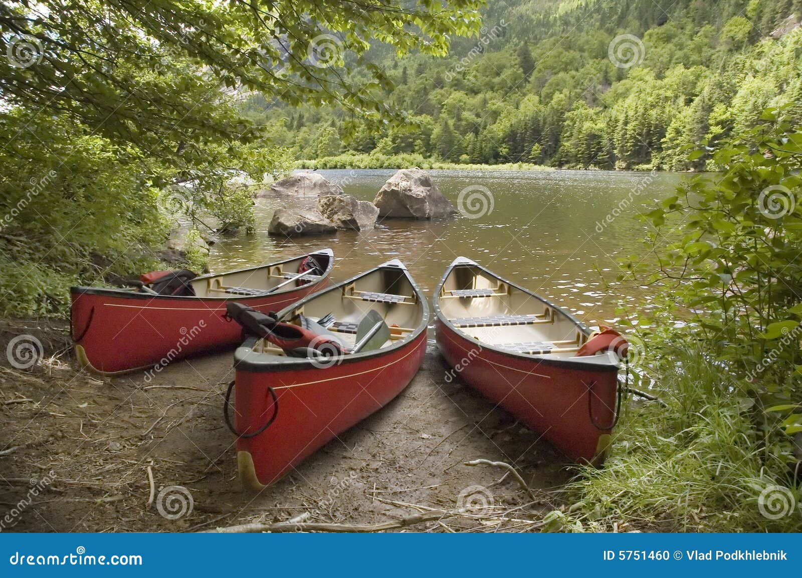 Canoes stock photo. Image of land, canoe, branches, sand - 5751460