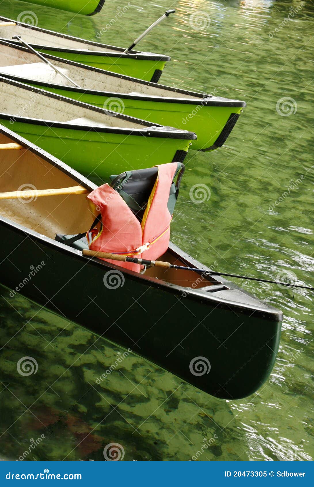 Canoes on Florida Spring stock image. Image of jacket - 20473305