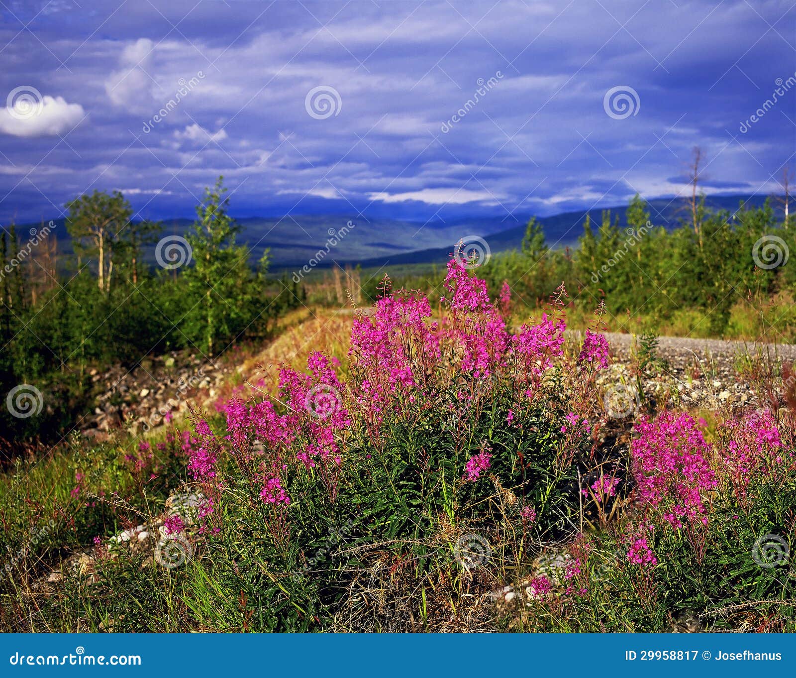 Canol Highway stock image. Image of clouds, highway, nature - 29958817