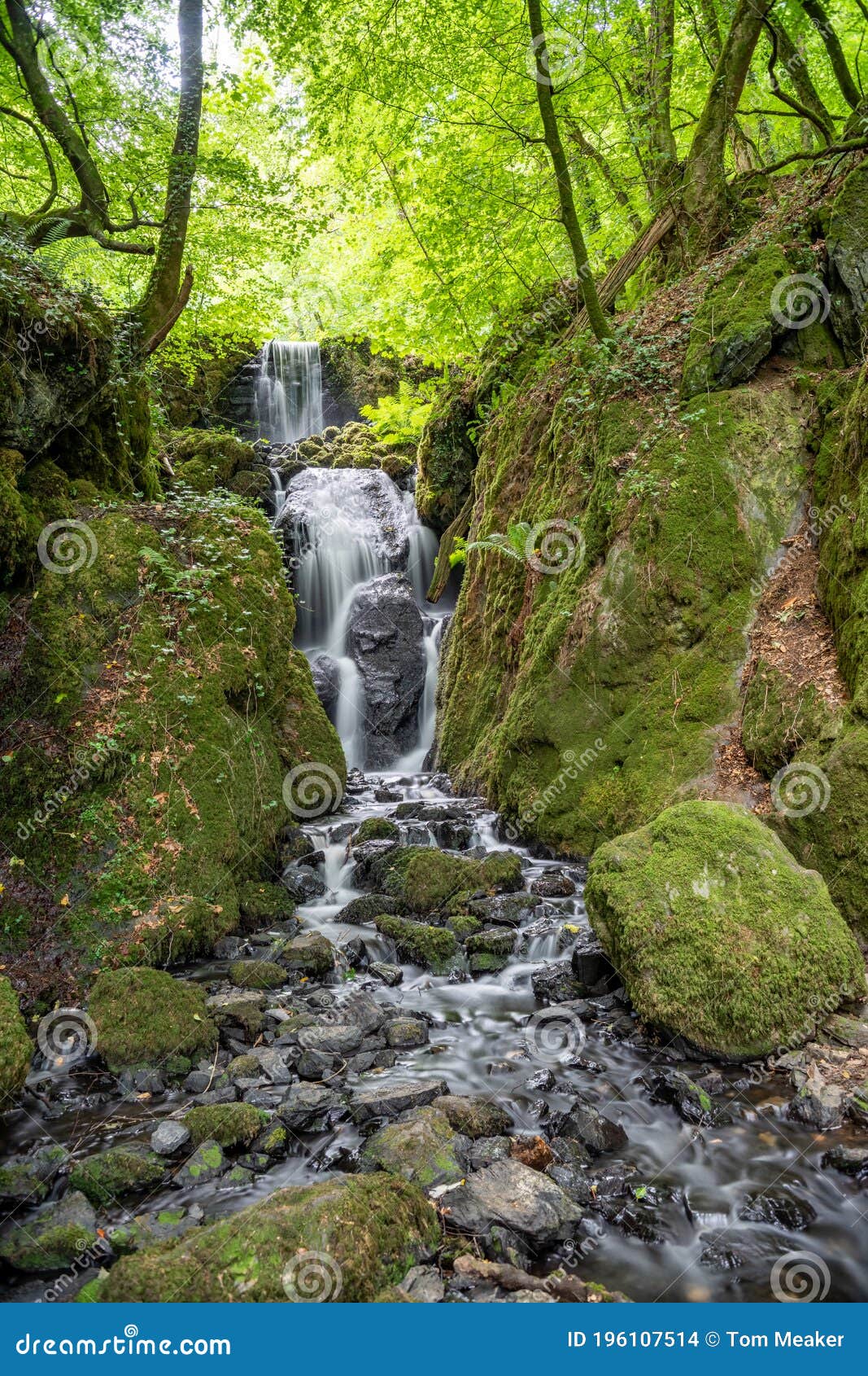 Canonteign falls stock photo. Image of devon, europe - 196107514