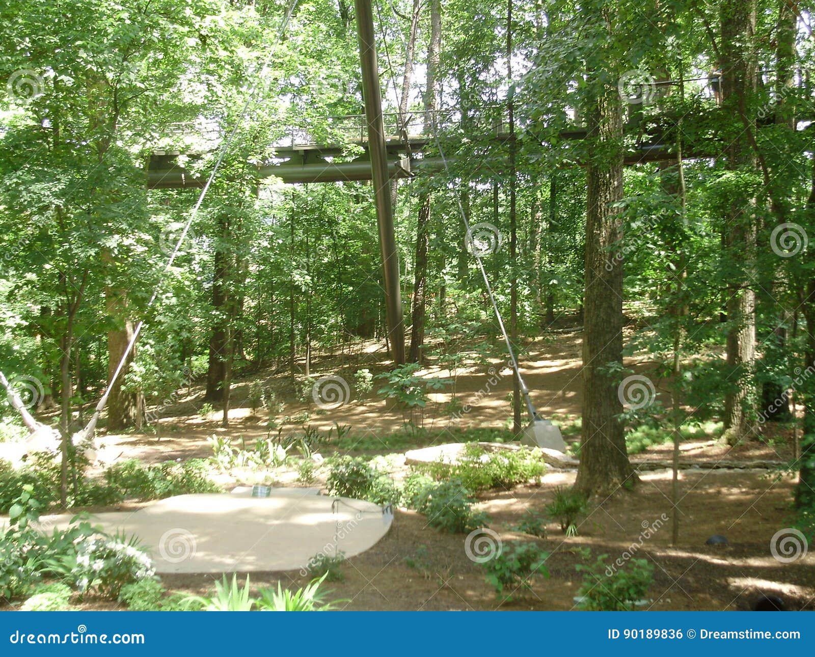 Canopy above the trees stock photo. Image of landscape - 90189836