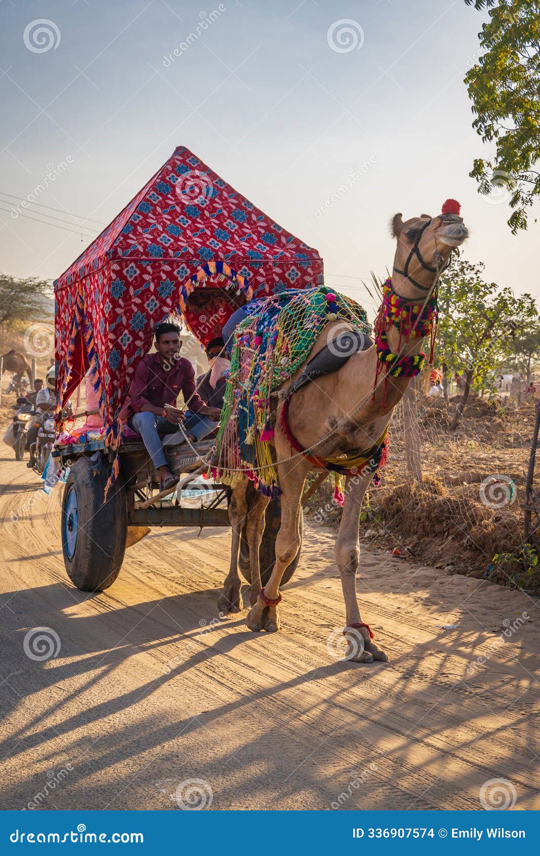 Canopy Covered Camel Carts in Pushkar Editorial Stock Image - Image of ...