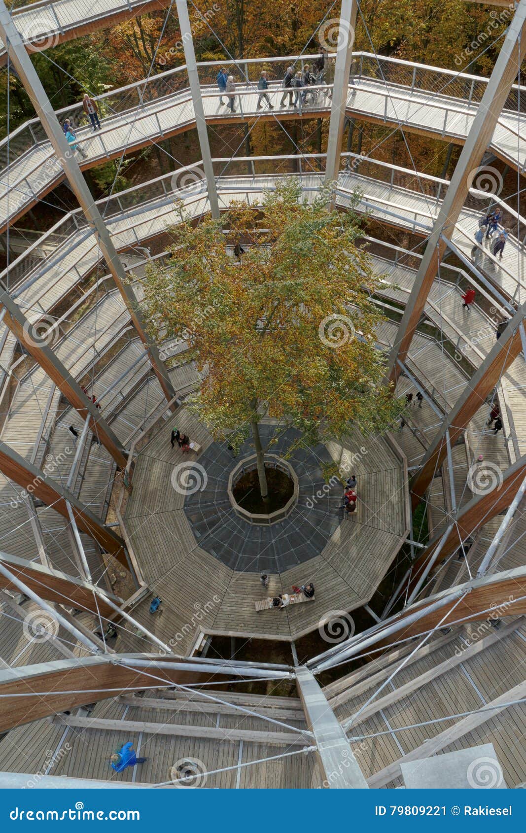 Canopy pathway tower editorial photo. Image of canopy - 79809221