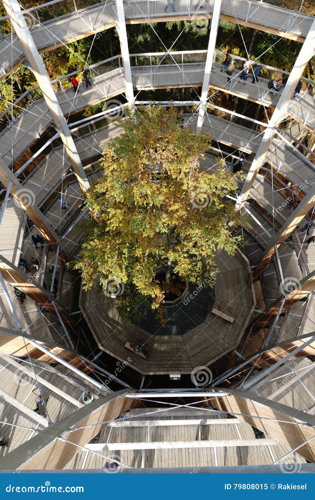 Canopy pathway tower editorial image. Image of pathway - 79808015