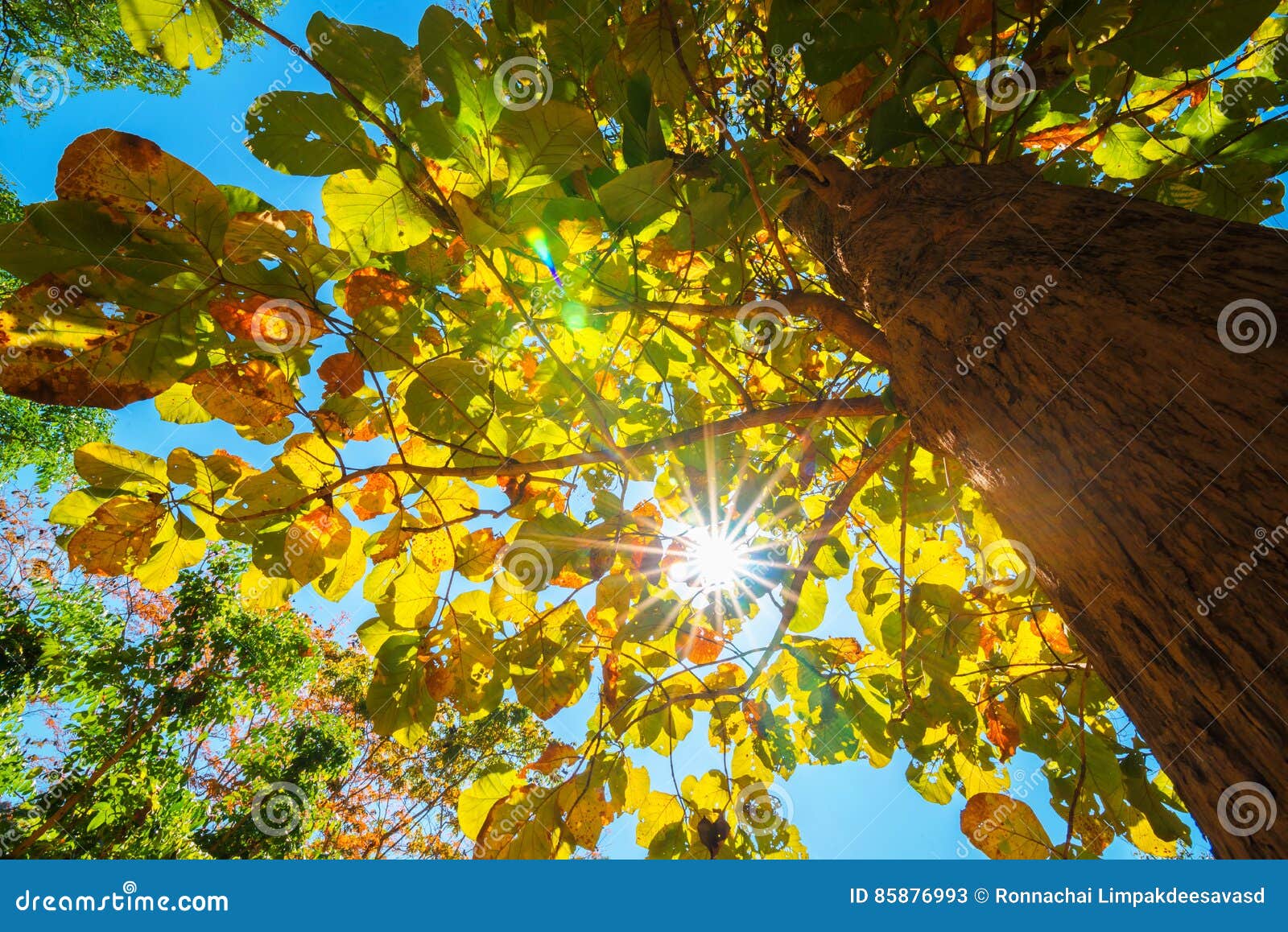 Trees Framing Hart Ponds Below Ridge Of Ragged Mountain, Connecticut ...