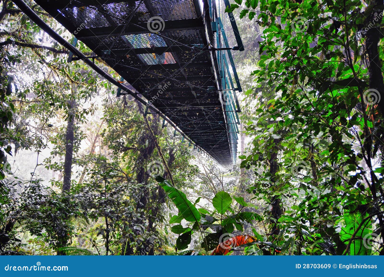 Canopy walk in Costa rica stock image. Image of clouds - 28703609
