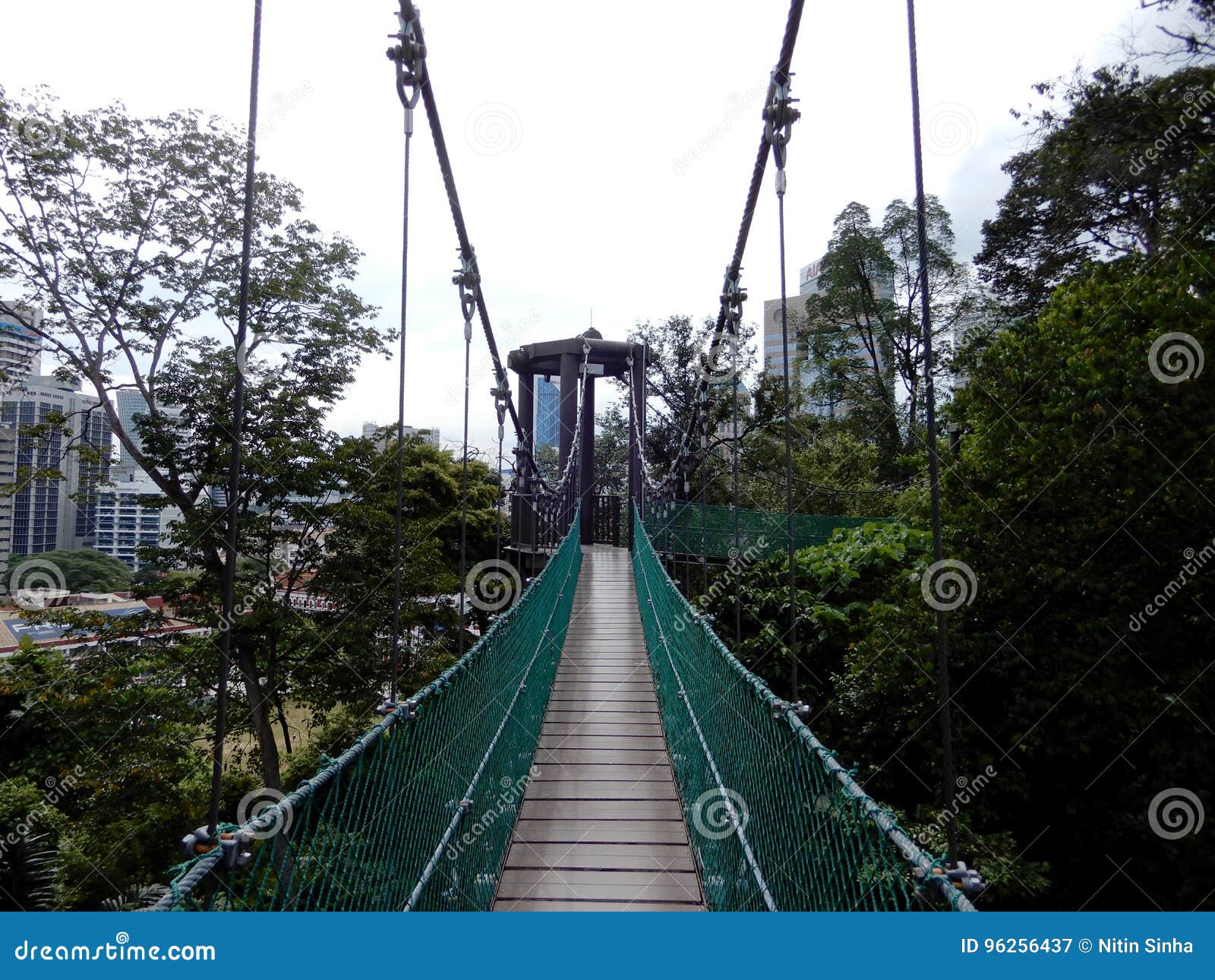The Canopy Walk Way Editorial Photo | CartoonDealer.com #38116405