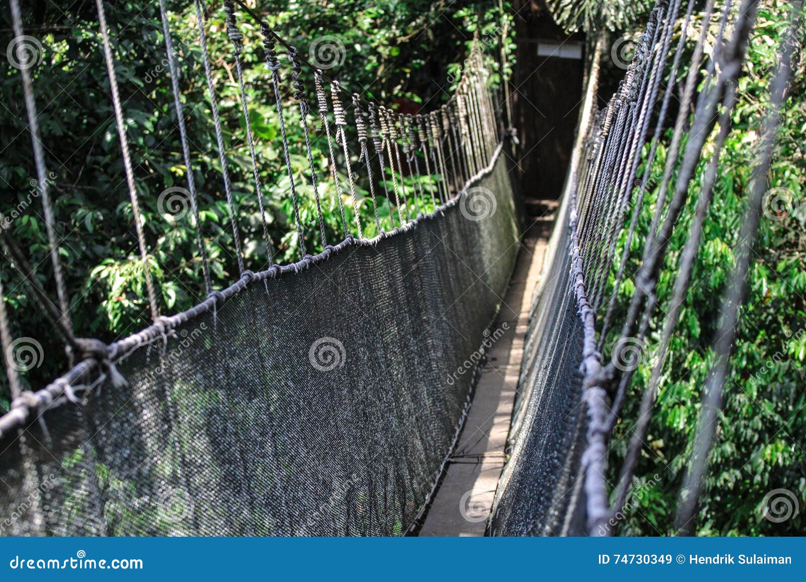 Canopy walk view stock image. Image of chinese, lujiazui - 74730349