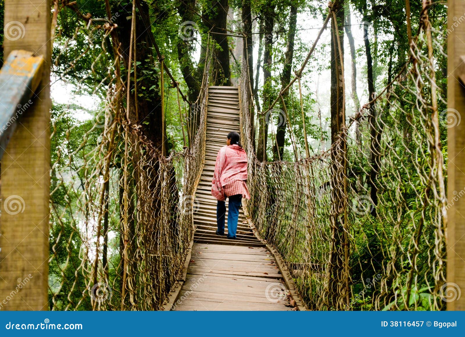The Canopy Walk Way editorial photography. Image of forest - 38116457