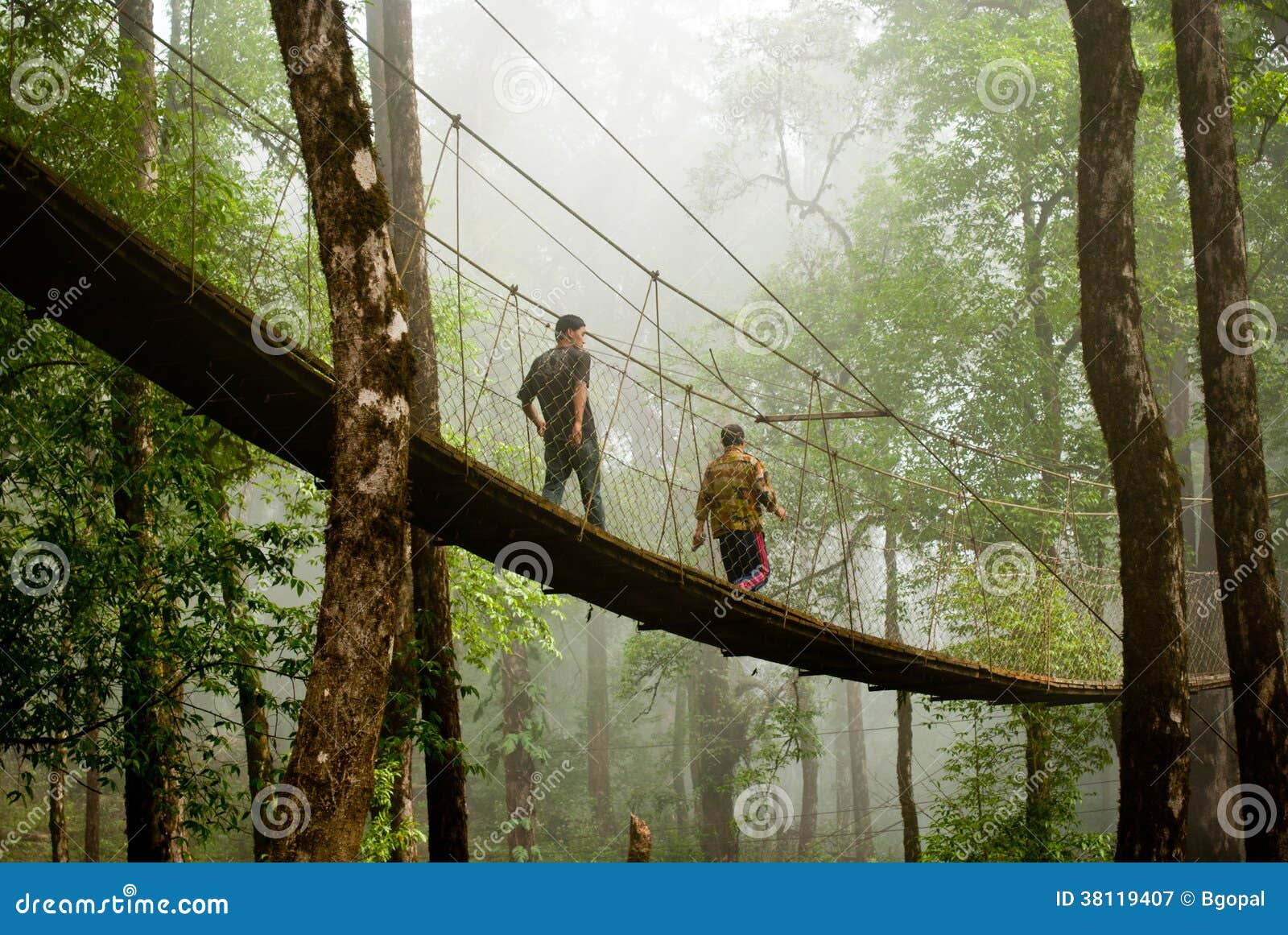 The Canopy Walk Way editorial photography. Image of bridge - 38119407