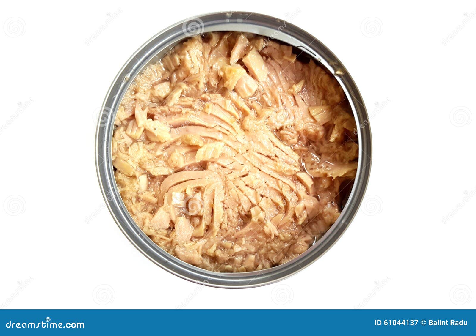 Cans of Tuna stock image. Image of protein, canned, isolated - 61044137