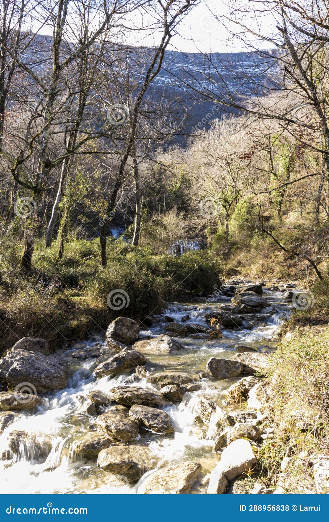 Cantabrian Wilderness: a Glimpse into the Pristine Beauty of a Northern ...