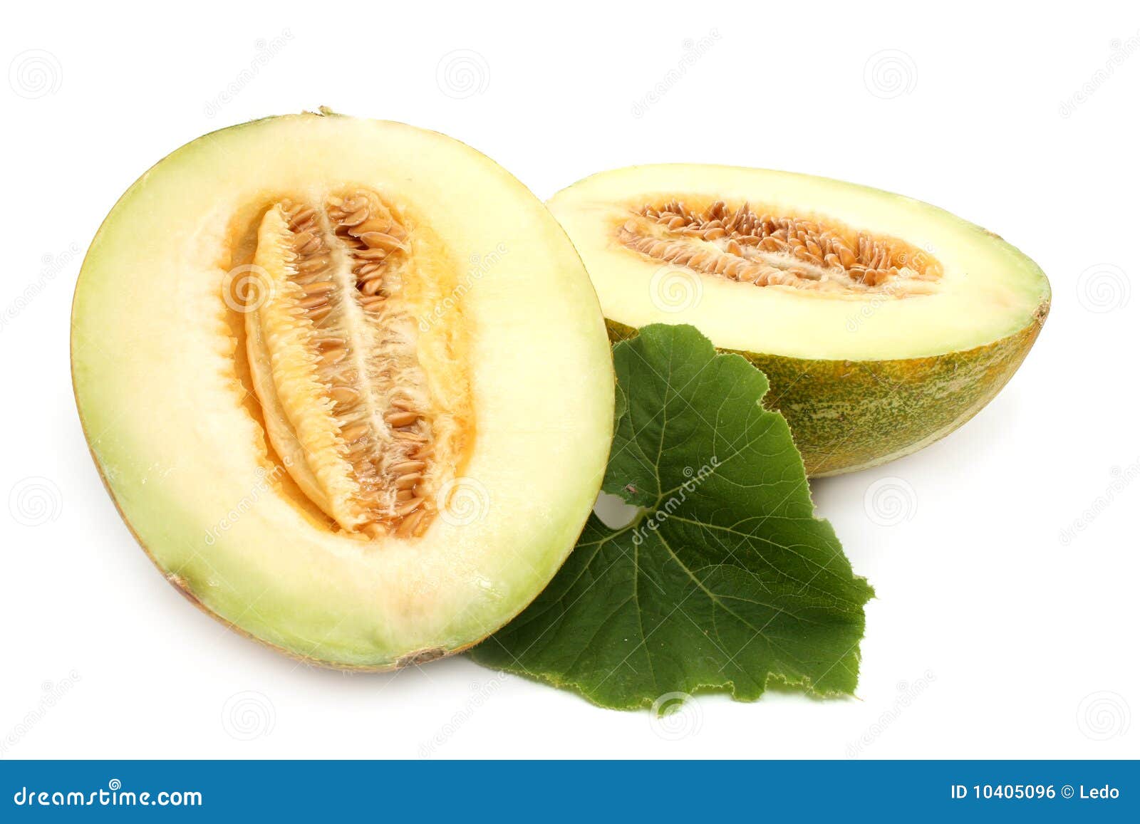 Cantaloup stock photo. Image of juicy, fresh, fruit, muskmelon - 10405096