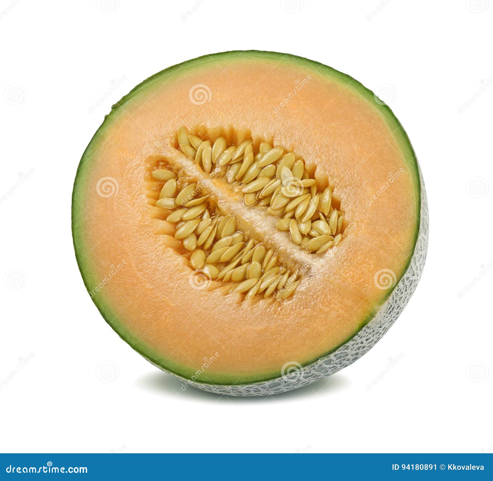 Melon Half Cross Section With Seeds Stock Photo | CartoonDealer.com ...