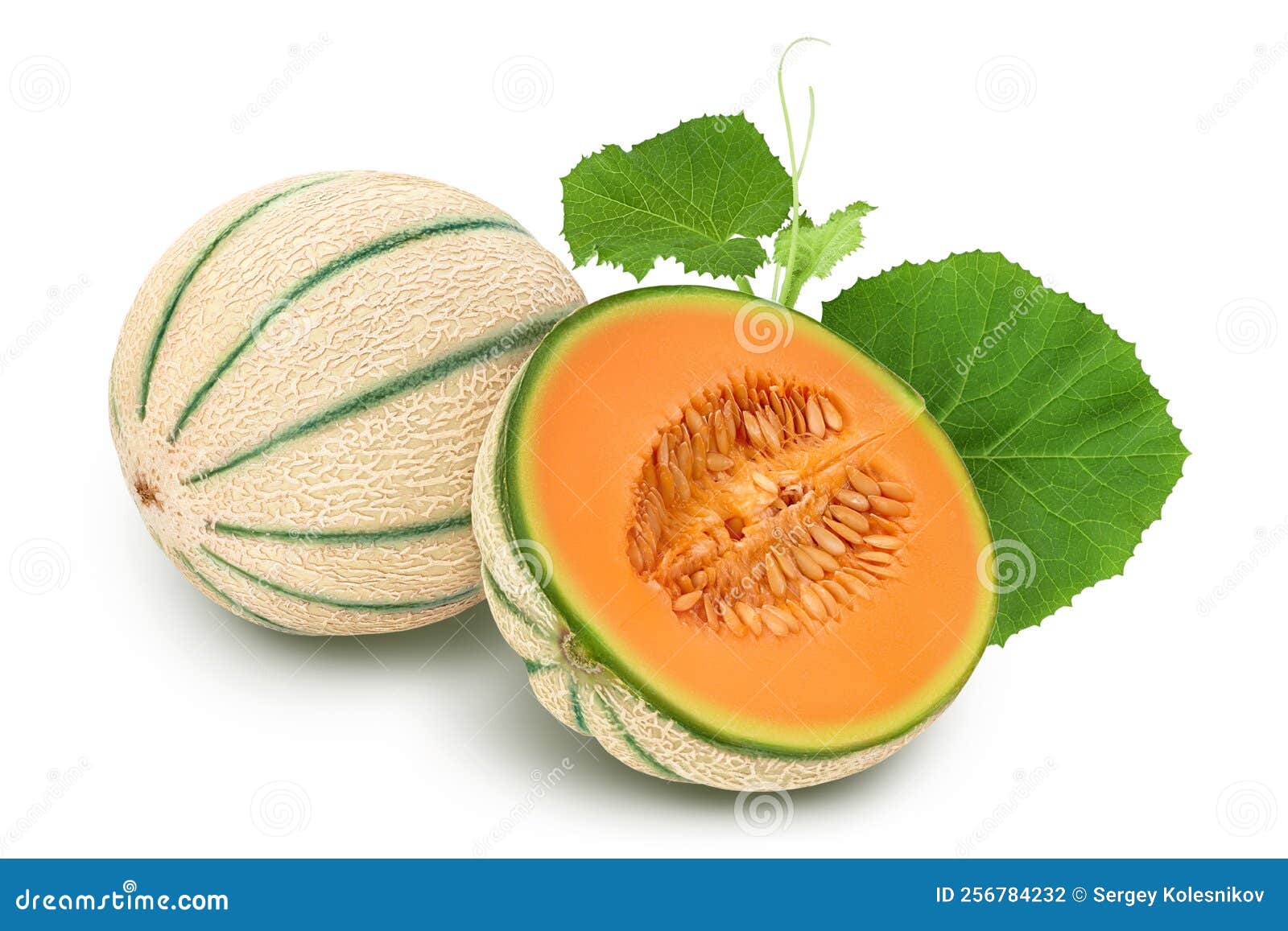 Cantaloupe Melon Isolated on White Background with Full Depth of Field, Stock Photo - Image of ...