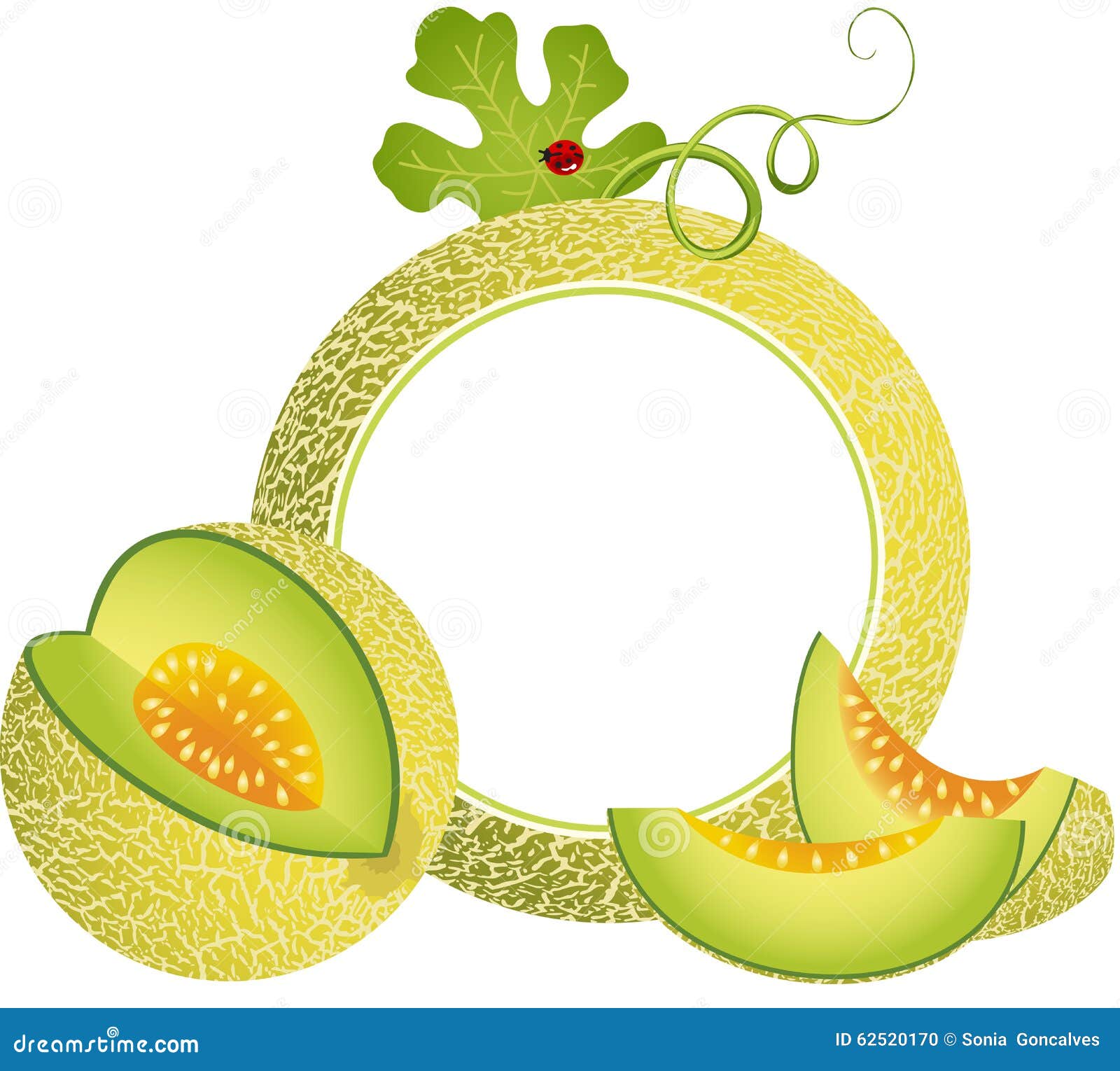 Cantaloupe Melon Photo Frame Stock Vector - Illustration of healthy ...